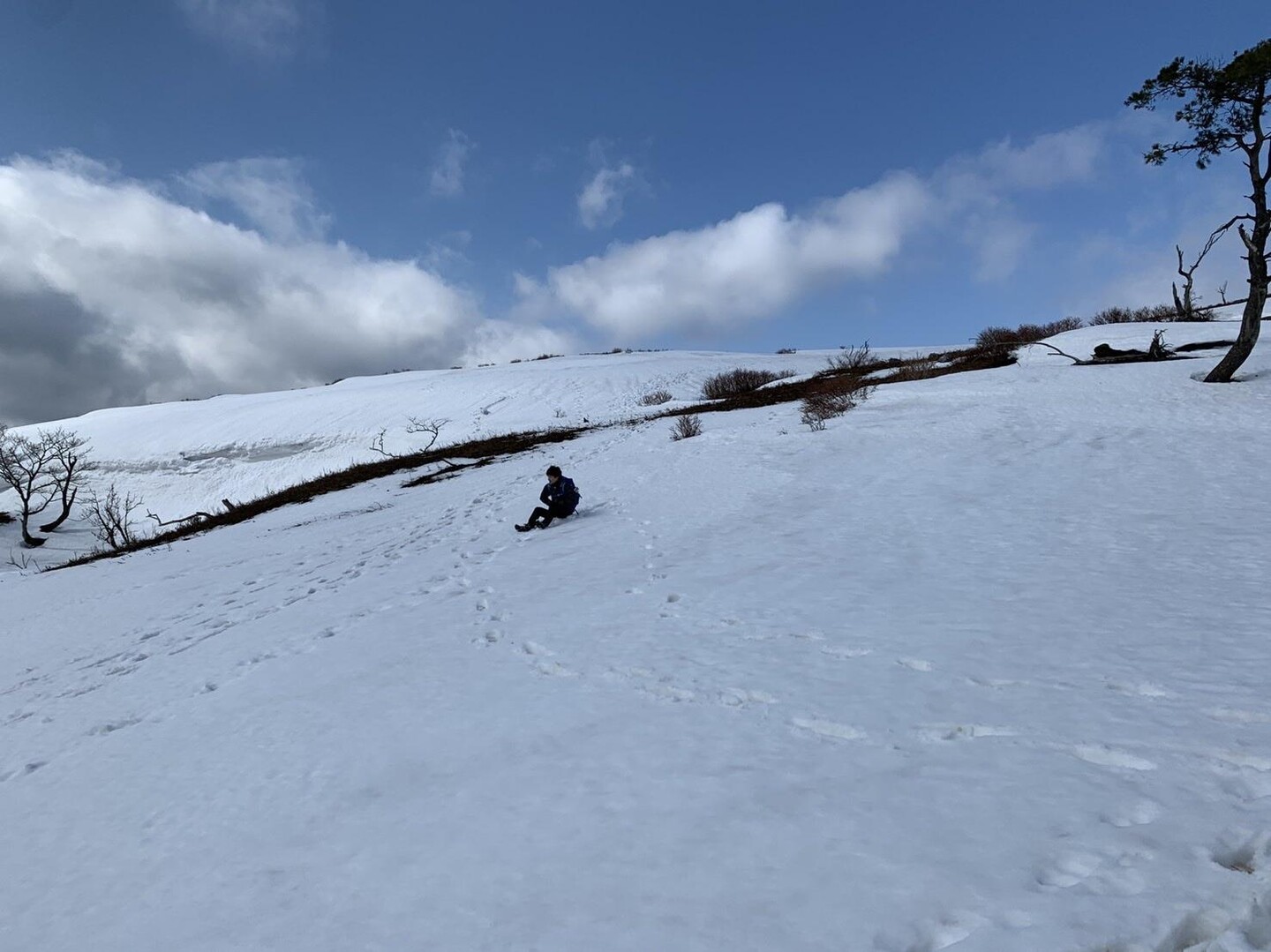 霊仙山 / YMTさんの霊仙山の活動データ | YAMAP / ヤマップ