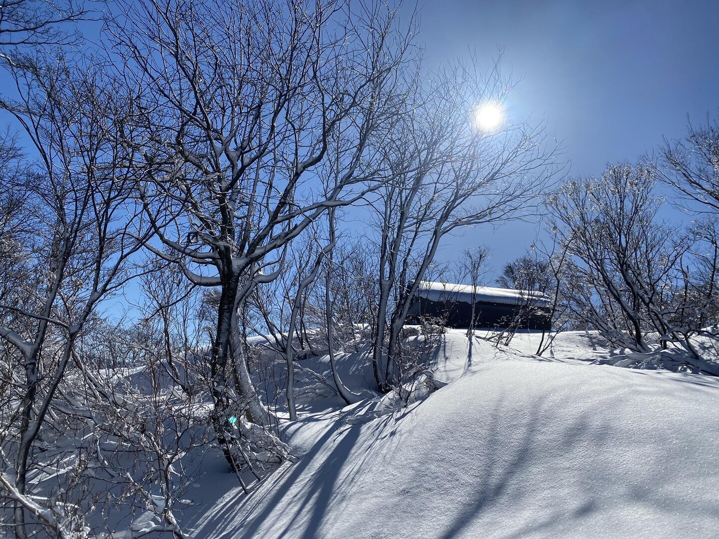2024年初登り / TACK🥷さんの医王山・白兀山・箱屋谷山の活動データ | YAMAP / ヤマップ