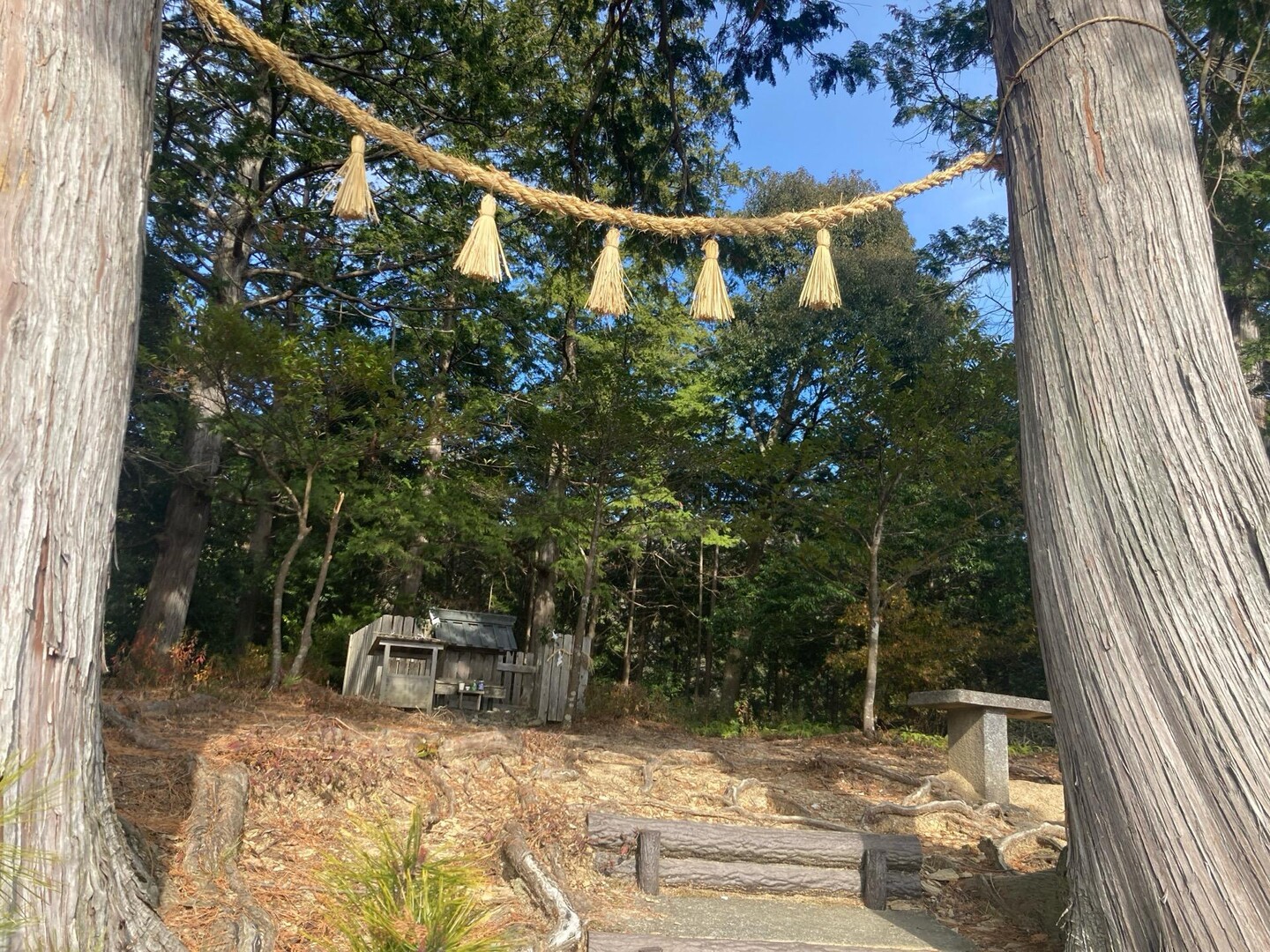 茶臼山⛰️お気楽short RUN😎 / T-boyさんの熊野古道 伊勢路②の活動データ | YAMAP / ヤマップ