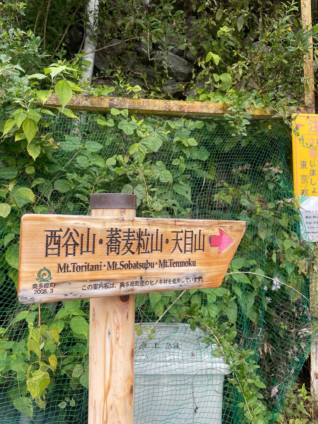 天目山とハナド岩 / Shoji-nさんの雲取山・鷹ノ巣山・七ツ石山の活動データ | YAMAP / ヤマップ