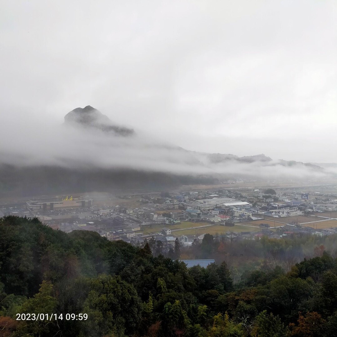 大仁-2023-01-14 / よしじいさんの伊豆の国市 E-BIKEの活動データ | YAMAP / ヤマップ