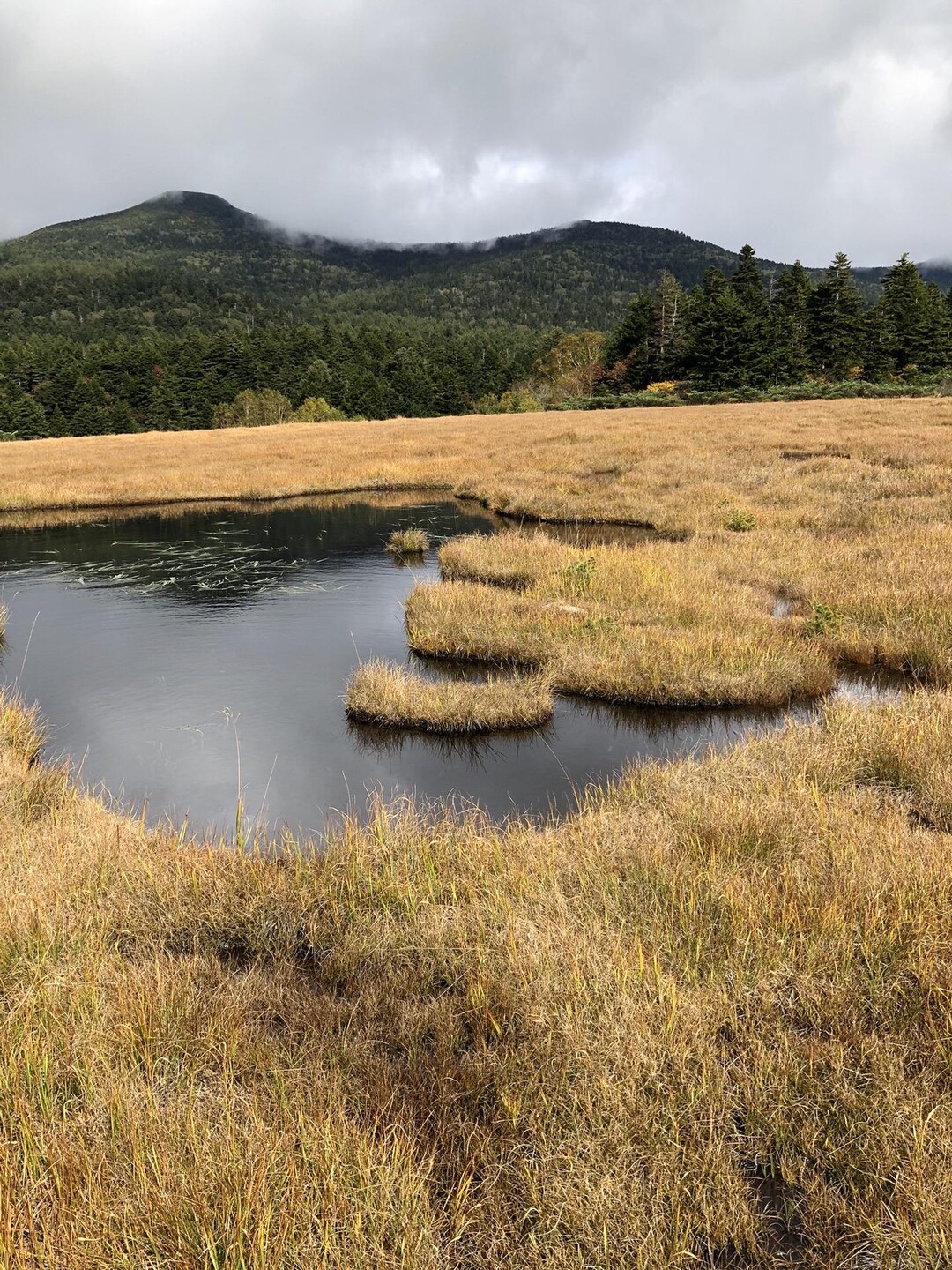 谷地平へ！一切経山・東吾妻山 / kkoさんの吾妻山・一切経山の活動データ | YAMAP / ヤマップ