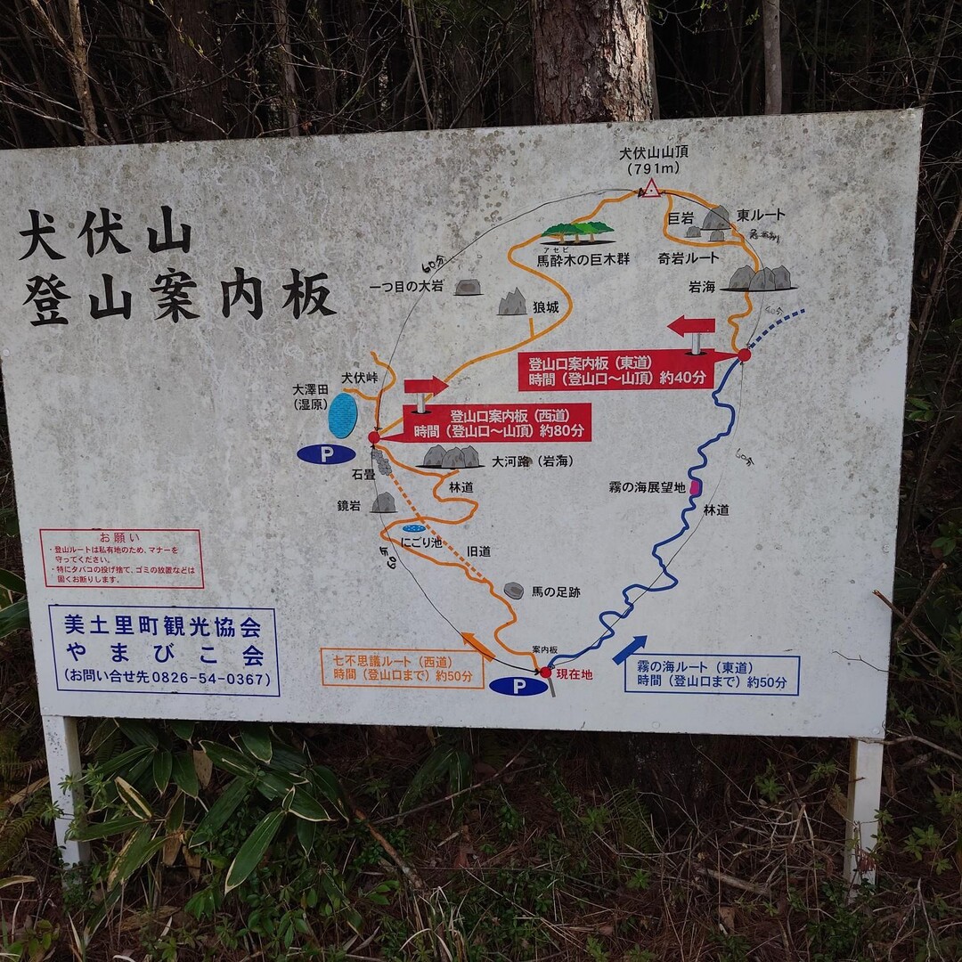 里キン👑👑Ⅱ-② 犬伏山 / palさんの犬伏山の活動データ | YAMAP / ヤマップ