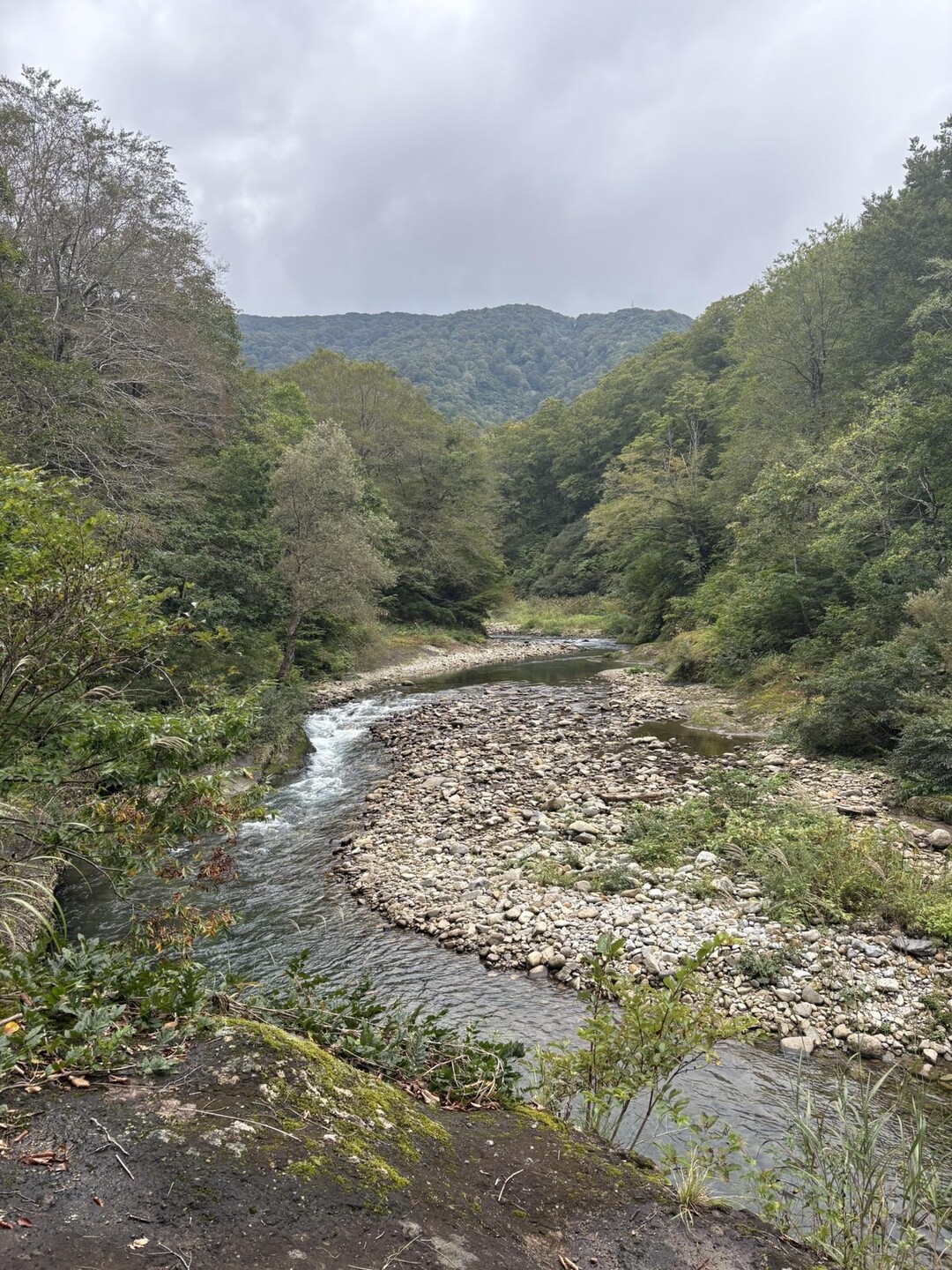 大峰-トレッキング湯沢1 / saitoさんの大峰・秋葉山・清津峡の活動データ | YAMAP / ヤマップ