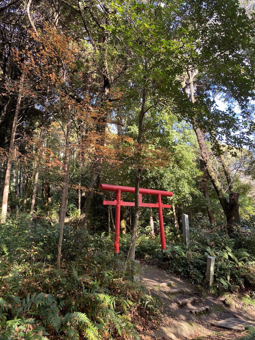 やっぱり歩かないとなぁ🙄登り納めは何処... / ひつじ🐑さんのモーメント | YAMAP / ヤマップ