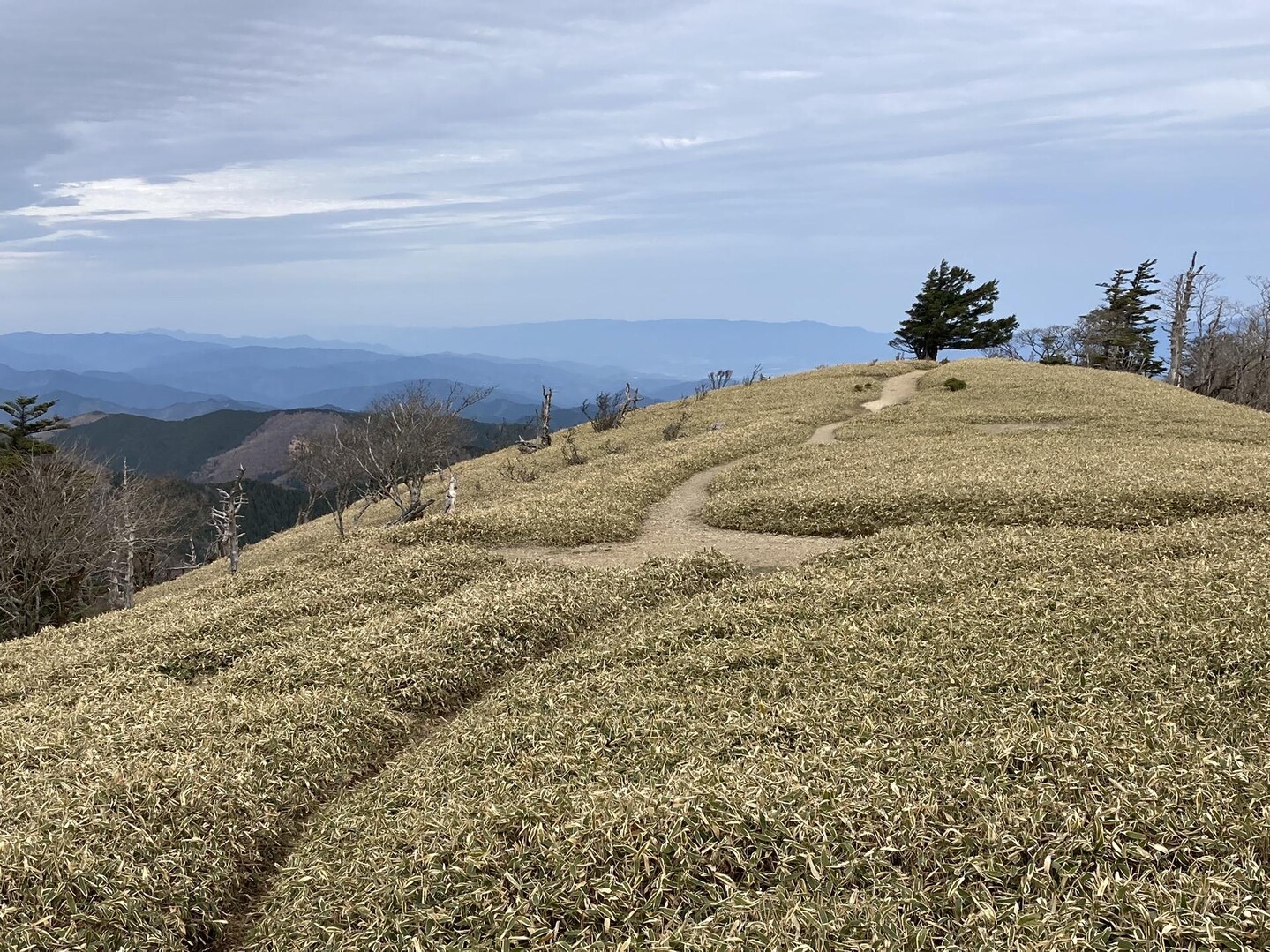 和佐又から大普賢、山上ヶ岳縦走。繋ぐぜ大峯奥駈道。小笹の宿ツェルト泊 / akimetalさんの大台ヶ原山・日出ヶ岳・大杉谷の活動データ | YAMAP / ヤマップ