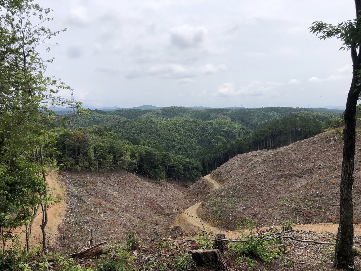 MTBで御嵩林道トレイル -2022-06-16 / ちーたろさんの高尾峯（御嵩富士）の活動日記 | YAMAP / ヤマップ