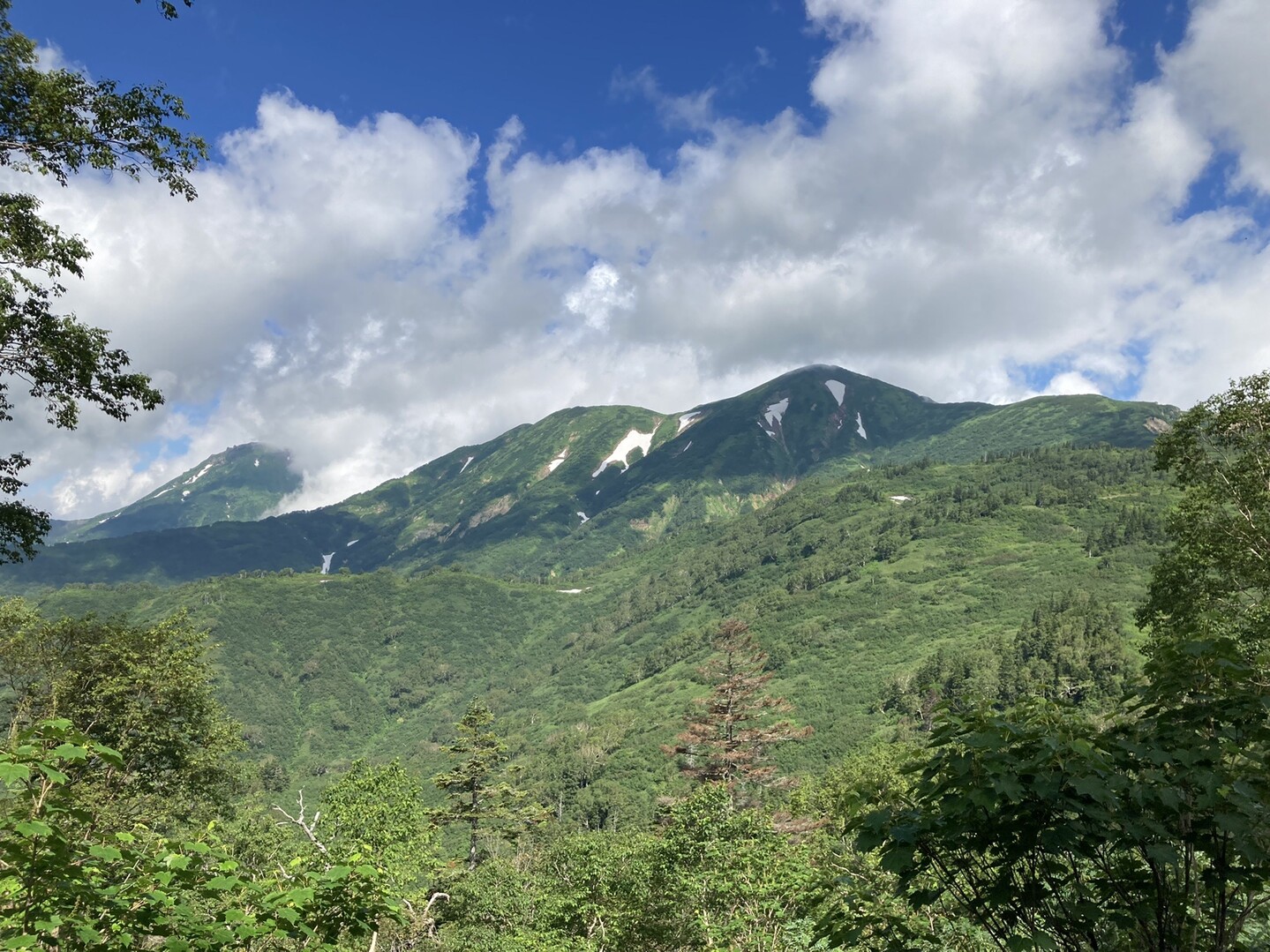 火打山 / matsu_kさんの妙高山・火打山の活動データ | YAMAP / ヤマップ