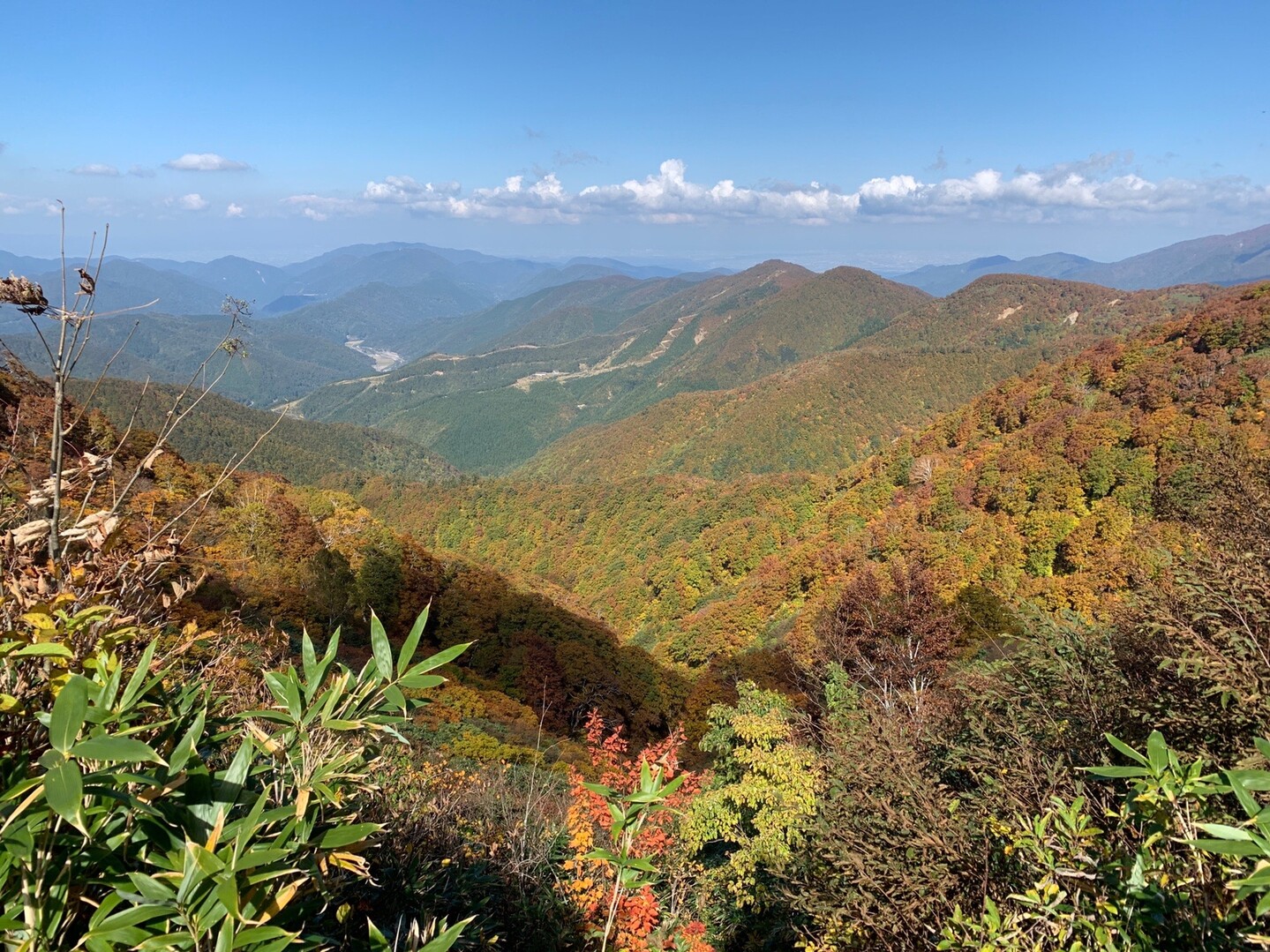 片折岳・前金剛・中金剛・奥金剛 / mi-yaさんの金剛堂山の活動データ | YAMAP / ヤマップ