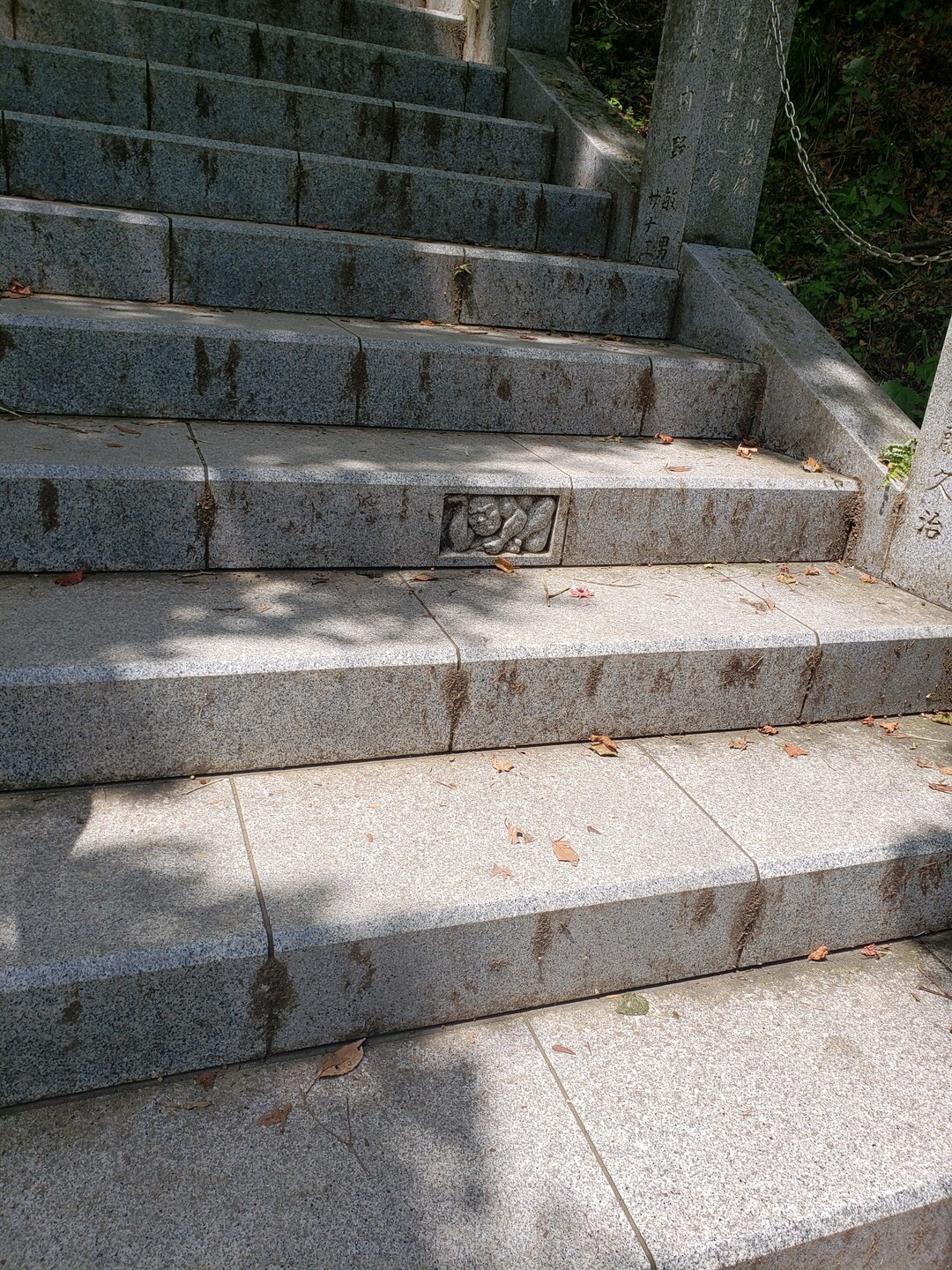 スクナヒコナさんの投稿したフィールドメモ | YAMAP / ヤマップ