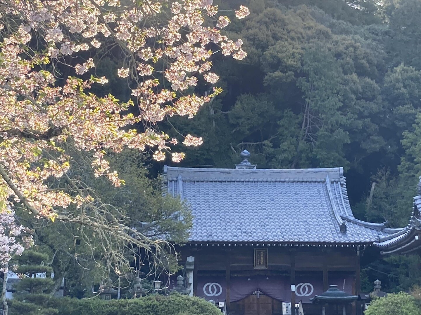 四国八十八ヶ所巡り 50番札所 繁多寺 ... / koyunisoさんのモーメント | YAMAP / ヤマップ