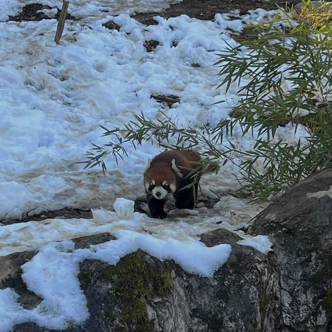 多摩動物公園🐾🐾 / ☺︎☺︎☺︎さんのモーメント | YAMAP / ヤマップ
