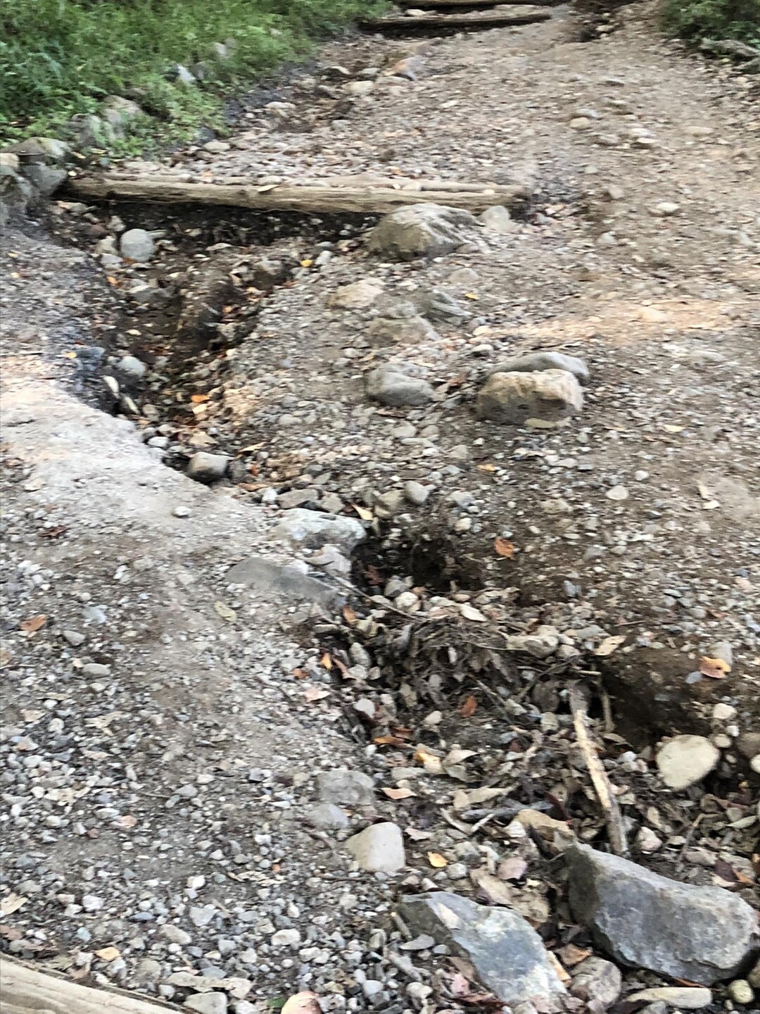 Neko⭐︎💫⭐︎さんの投稿したフィールドメモ | YAMAP / ヤマップ