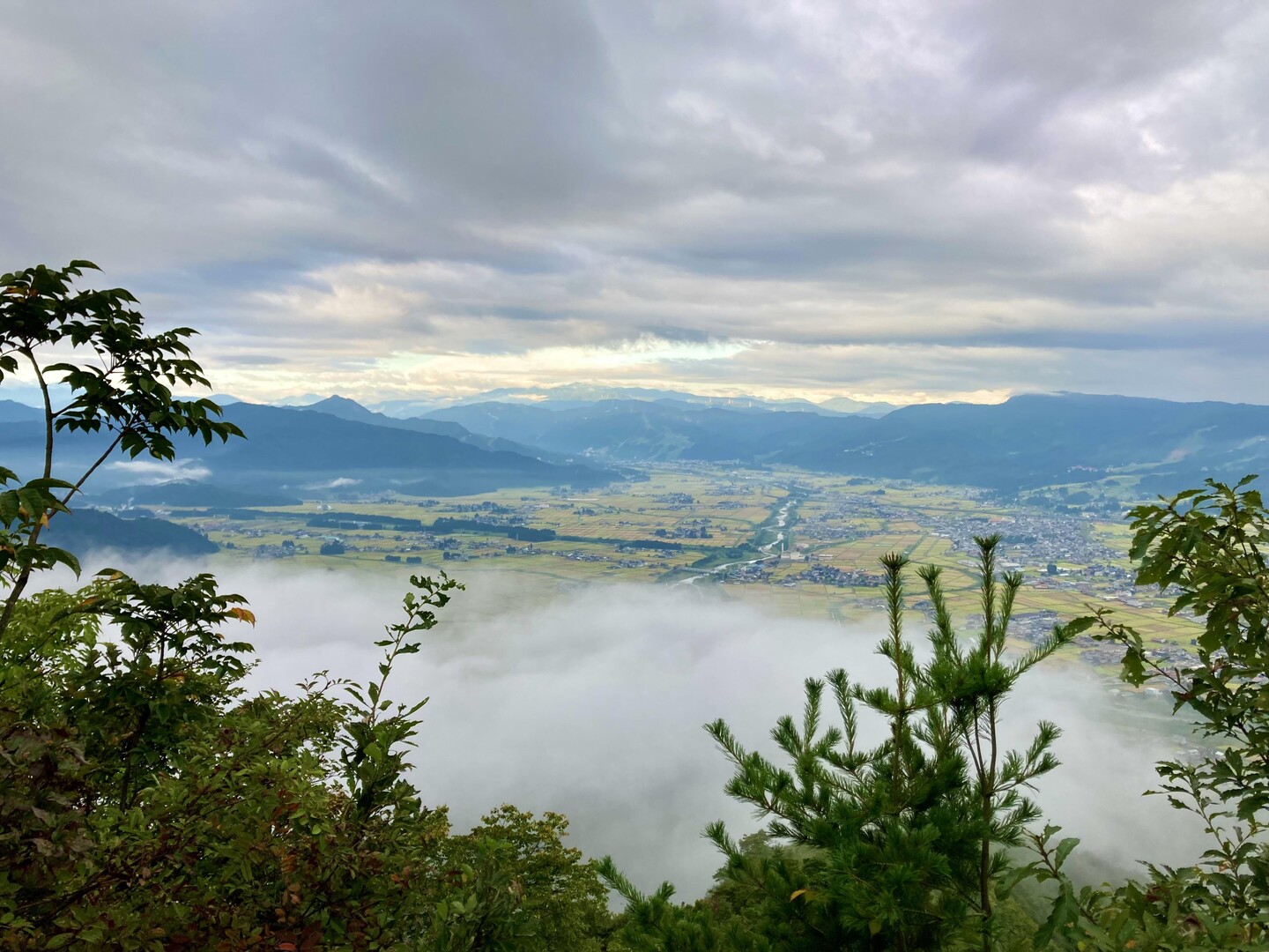 坂戸山25 / karashiさんの坂戸山の活動データ | YAMAP / ヤマップ