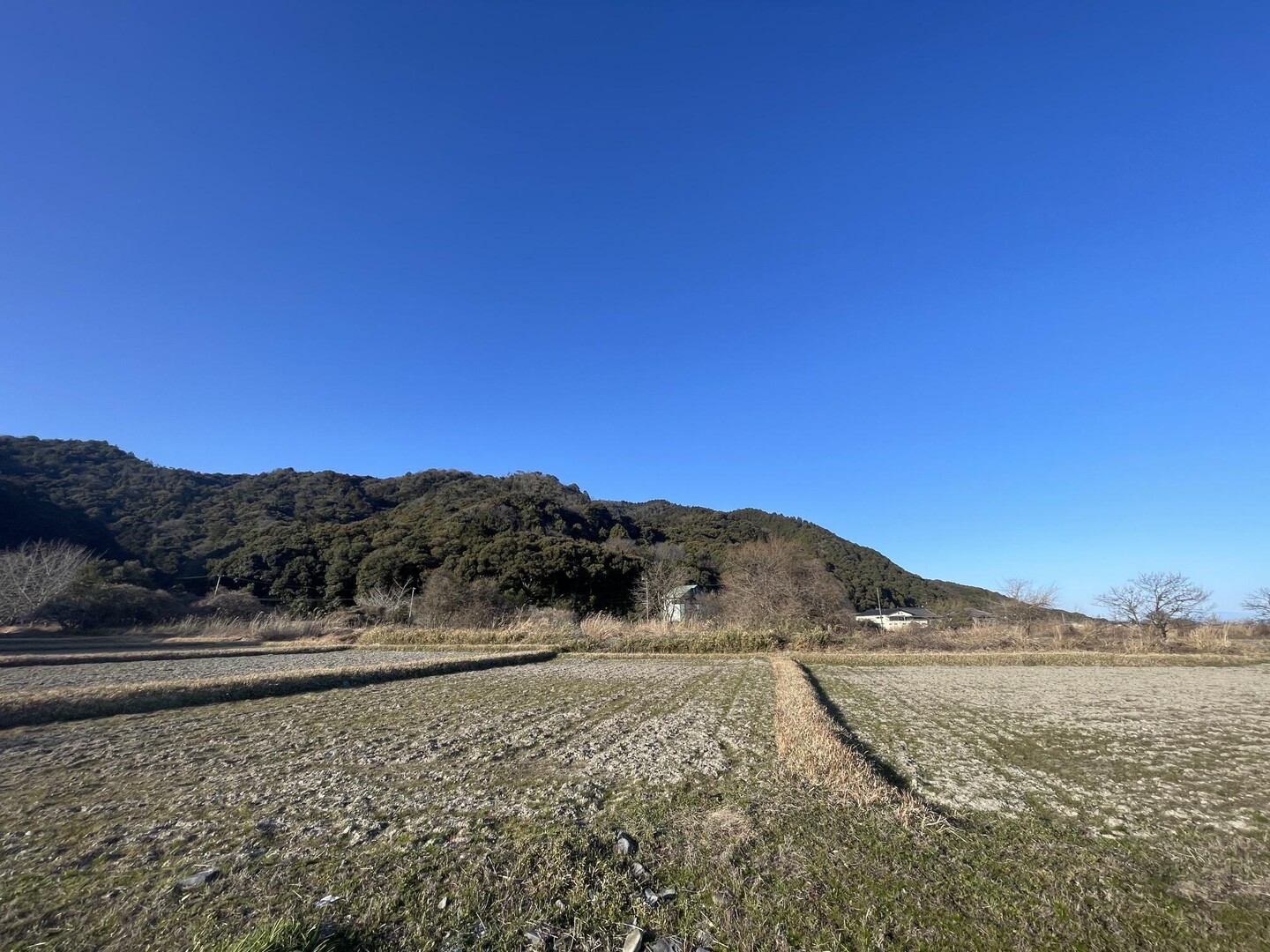 多度山・美濃松山・石津御嶽-2024-03-10 / trさんの多度山・美濃松山・石津御嶽の活動データ | YAMAP / ヤマップ