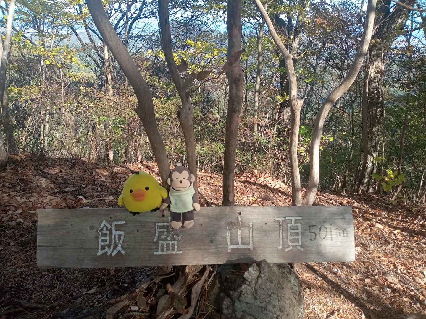 サクッとピークハント！宇都宮アルプス（篠井富屋連峰） / monkichi_1さんの古賀志山・赤岩山・鞍掛山・男抱山・半蔵山の活動データ | YAMAP / ヤマップ