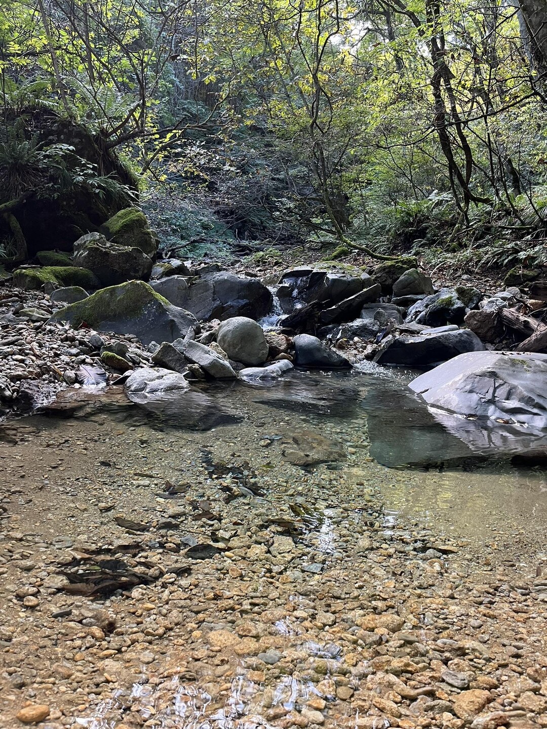 金壺山その② / sue sannさんの南昌山・東根山・箱ヶ森の活動データ | YAMAP / ヤマップ