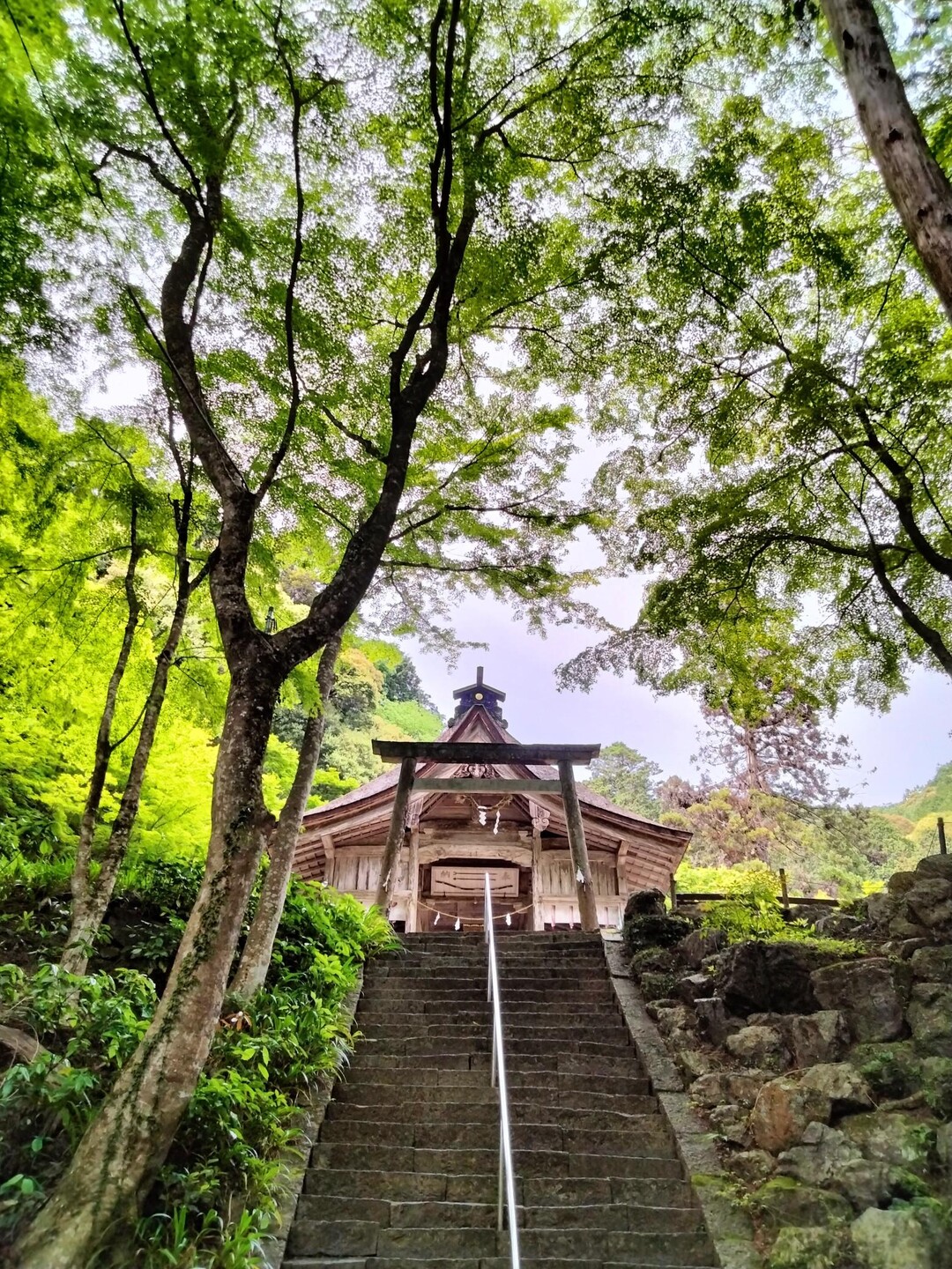 天王山 / KUMIKOさんの天王山・誕生山の活動データ | YAMAP / ヤマップ