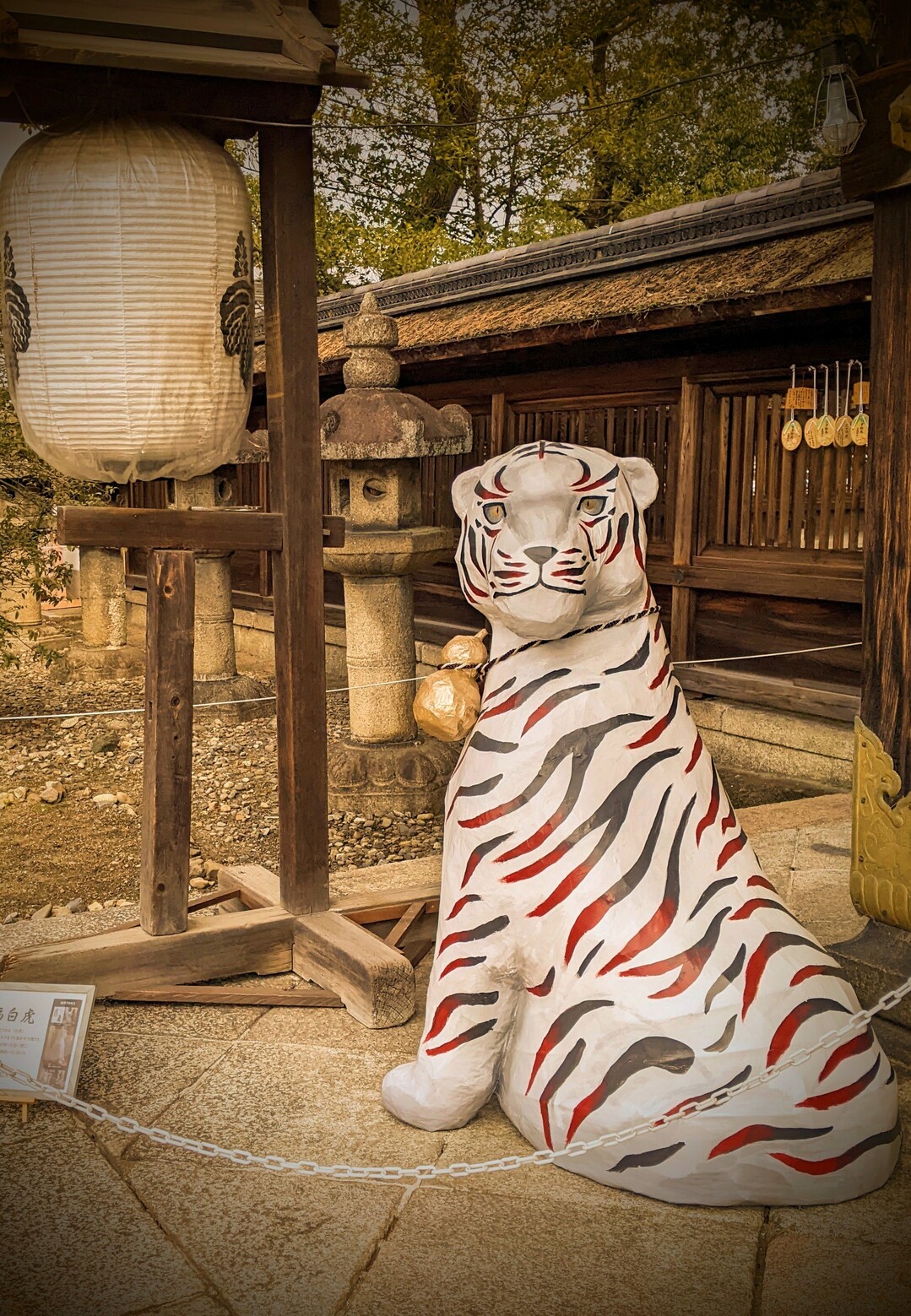 lyaneleighのページ | YAMAP / ヤマップ