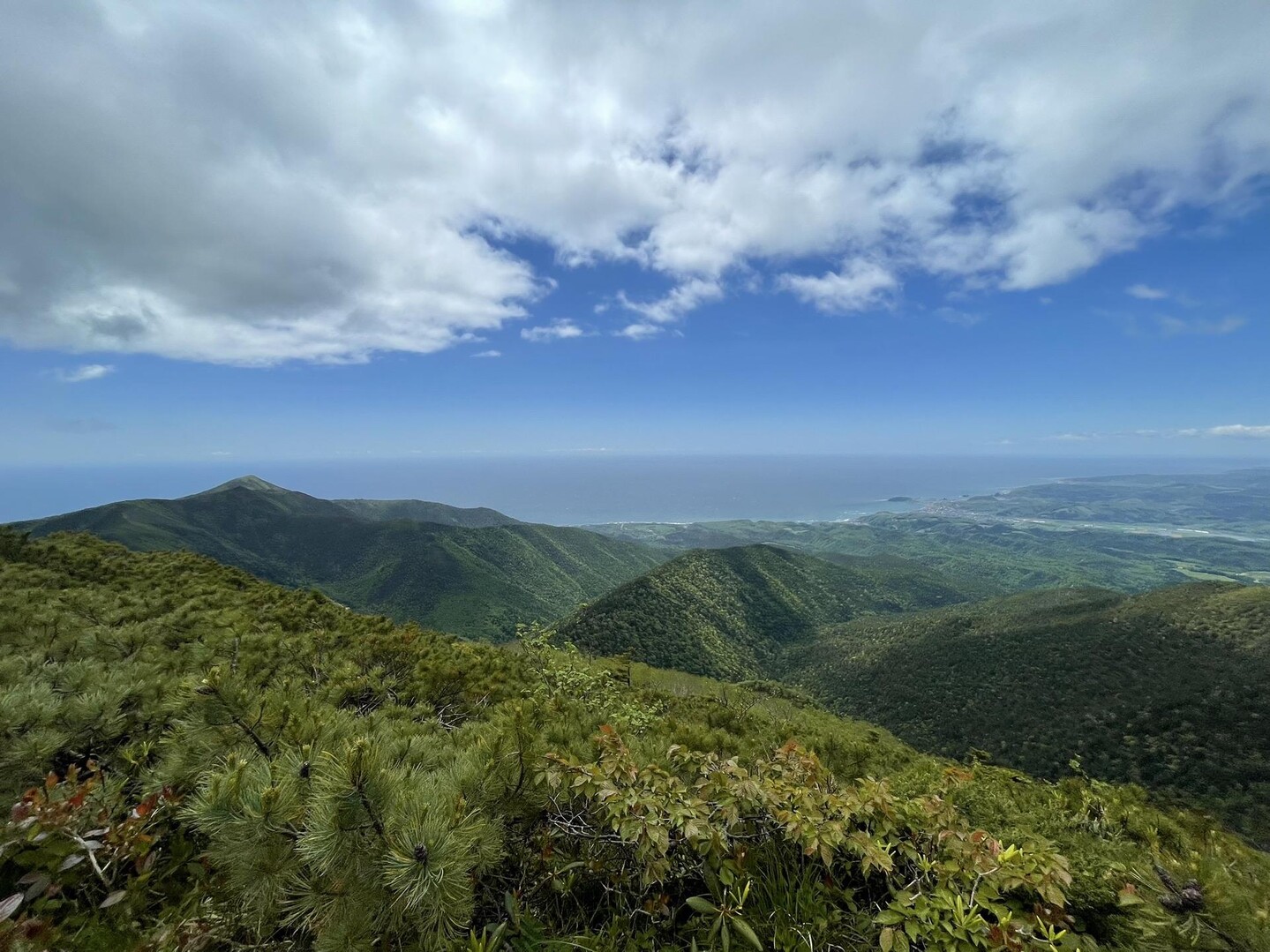 2024-05-25 ピンネシリ / momoさんのアポイ岳の活動データ | YAMAP / ヤマップ