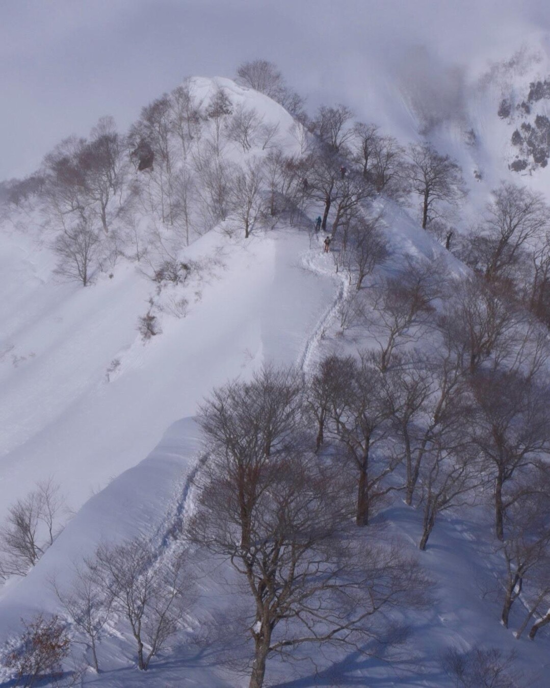 登り初め🎍谷川岳 / sh☺︎k☺︎さんの谷川岳・七ツ小屋山・大源太山の活動データ | YAMAP / ヤマップ
