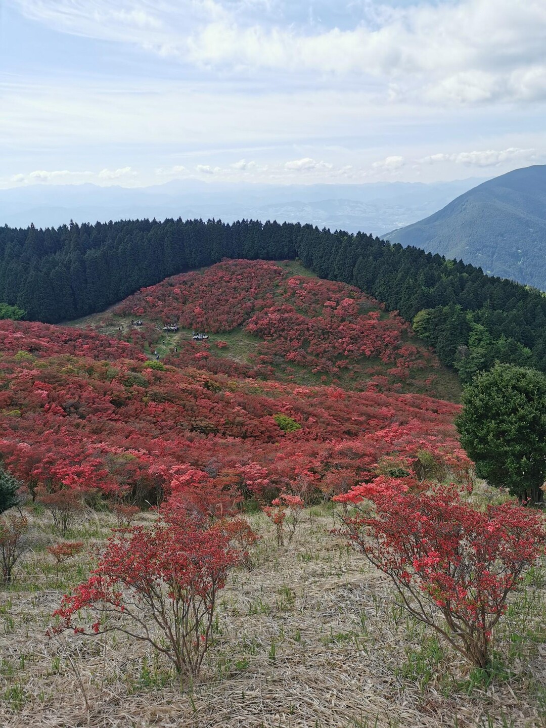 逆STMその6大和葛城山から明神山・河内堅上駅 / hanasonicbobbyさんの葛城修験エリアマップ（金剛山周辺）の活動データ | YAMAP / ヤマップ