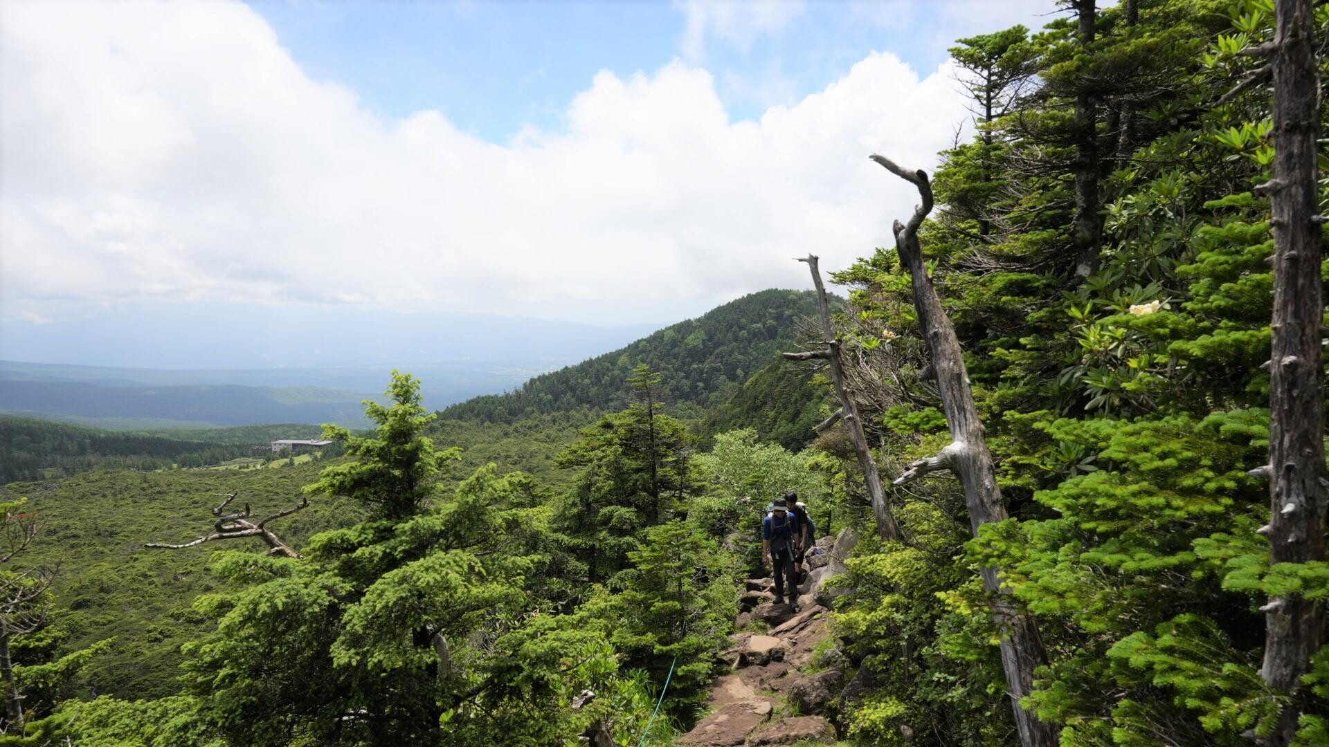 北横岳（南峰）・北横岳（北峰） / yasz_wanさんの蓼科山・横岳・縞枯山の活動データ | YAMAP / ヤマップ