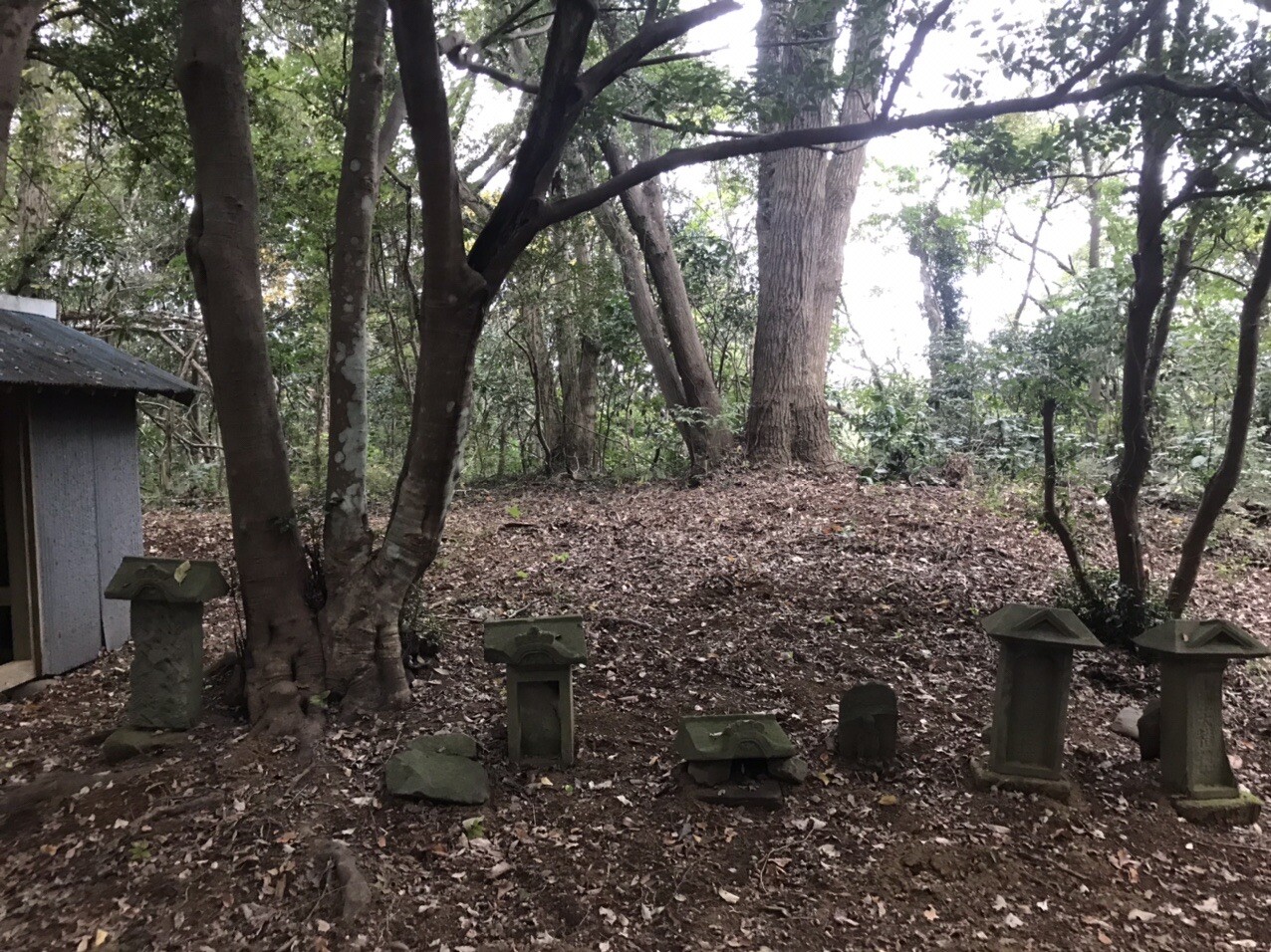 bamboo.misa🎋さんの投稿したフィールドメモ | YAMAP / ヤマップ