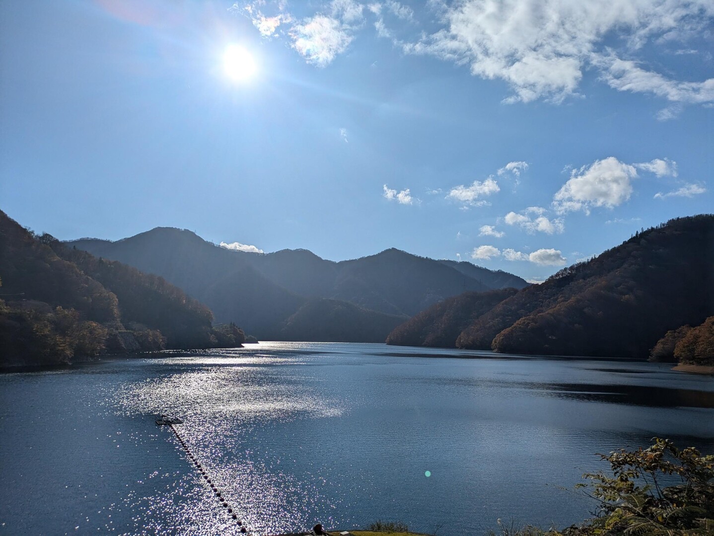鷲鞍岳-2024-11-21 / のんさんの鷲鞍岳の活動データ | YAMAP / ヤマップ