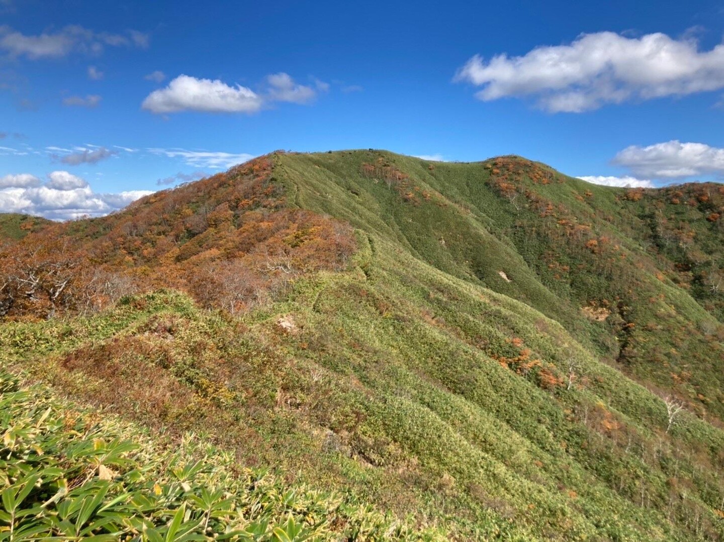 大日ヶ岳 / nomさんの大日ヶ岳・毘沙門岳の活動データ | YAMAP / ヤマップ