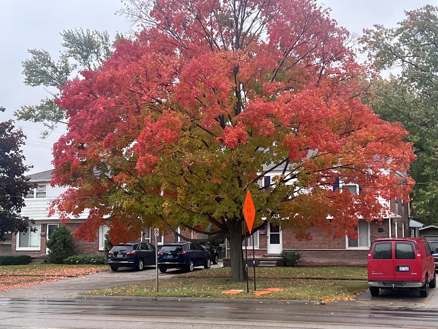 hello everyone! USA... / インドさんのモーメント | YAMAP / ヤマップ