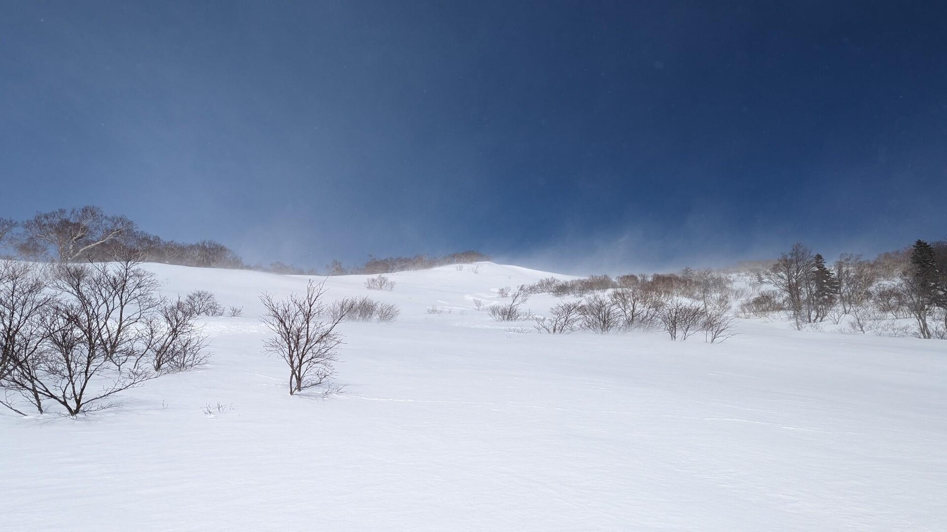 雛岳 裏側 ライド 八甲田 / RS-1 PHD さんの八甲田山・高田大岳・雛岳の活動データ | YAMAP / ヤマップ