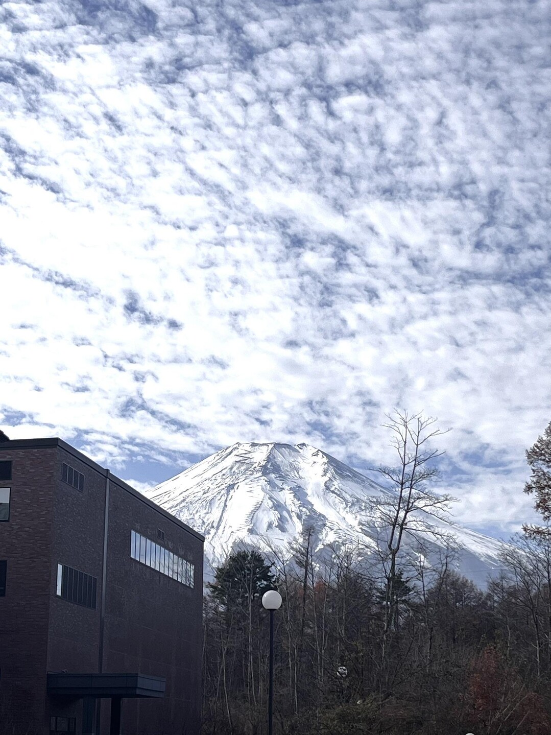 休日ですが、今日もちょっと出勤。 透き通... / Ichiroさんのモーメント | YAMAP / ヤマップ