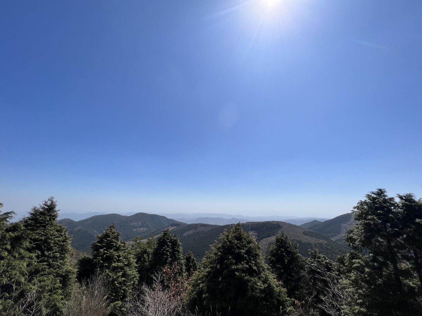 倉木山 / kyoopoさんの倉木山の活動データ | YAMAP / ヤマップ