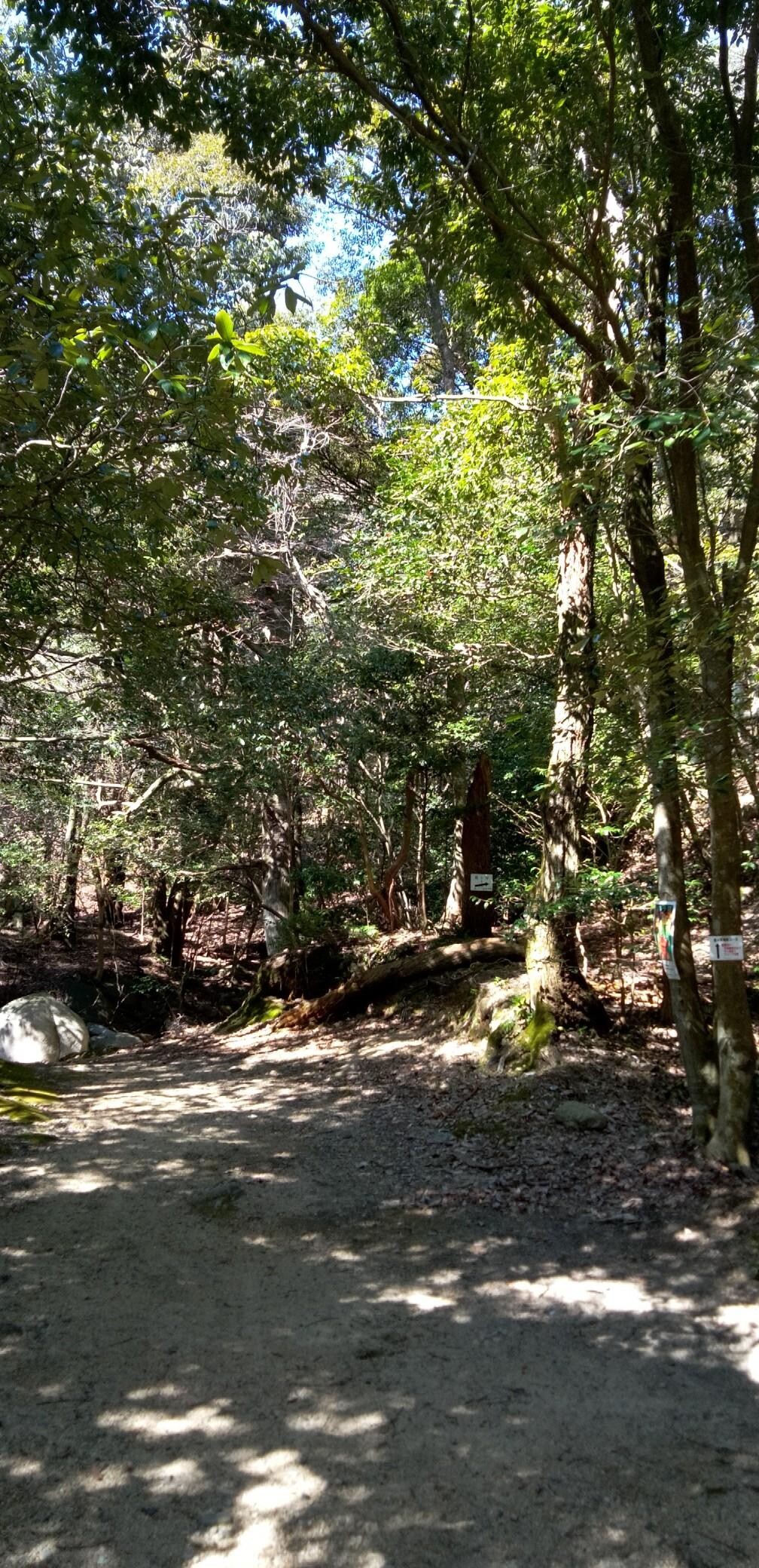 よねっちさんの投稿したフィールドメモ | YAMAP / ヤマップ