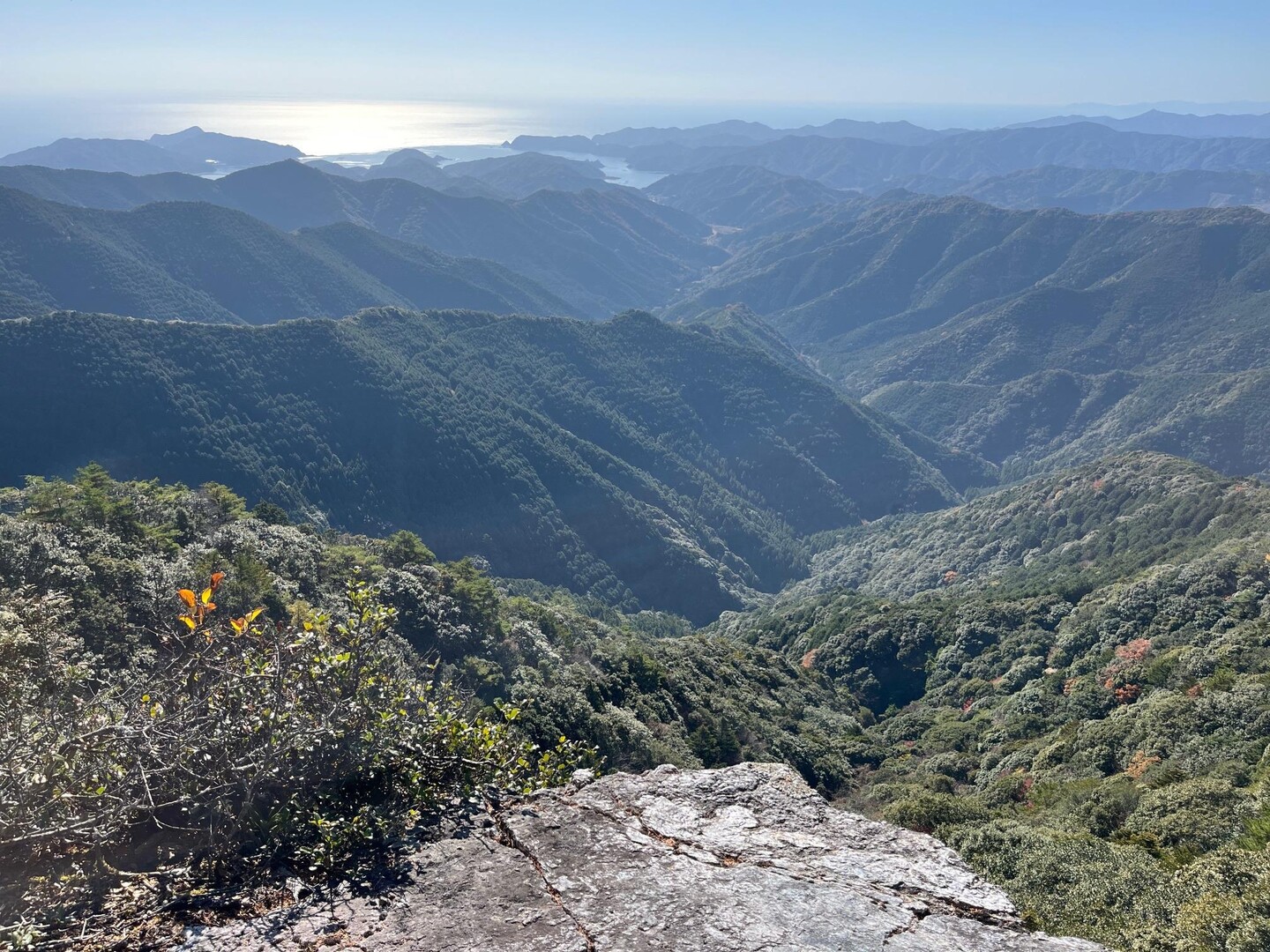 TRA01さんの投稿したフィールドメモ | YAMAP / ヤマップ