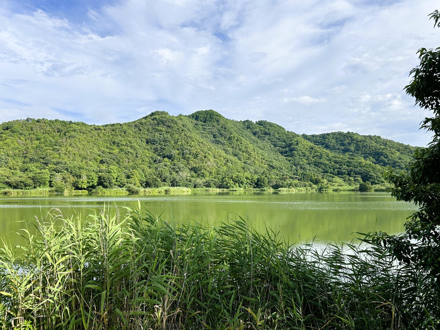 曽根沼 / Thomasさんの荒神山の活動データ | YAMAP / ヤマップ