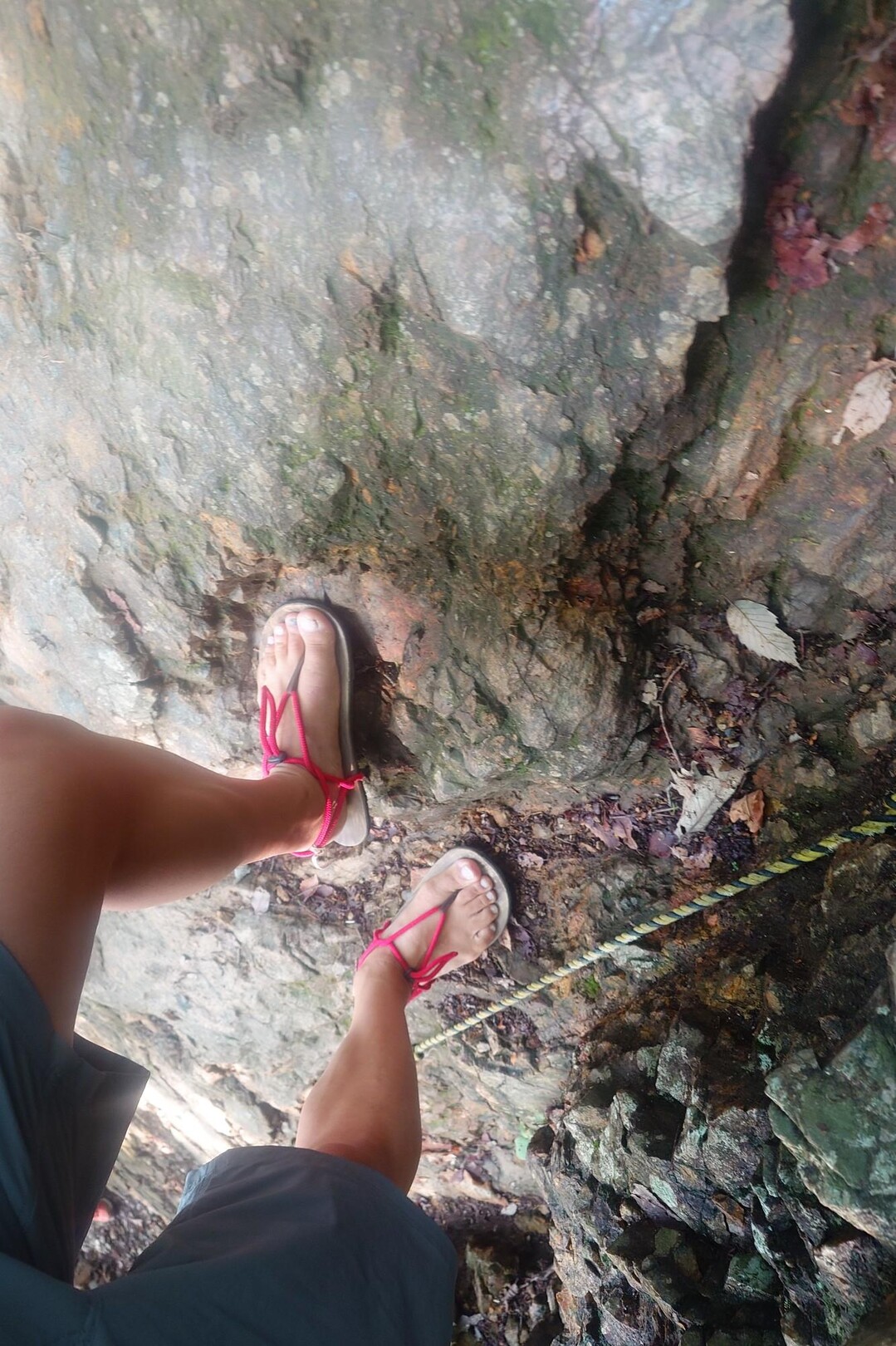 負荷練再開+5kg 29分登頂 / ta2さんの鳴神山・吾妻山の活動データ | YAMAP / ヤマップ