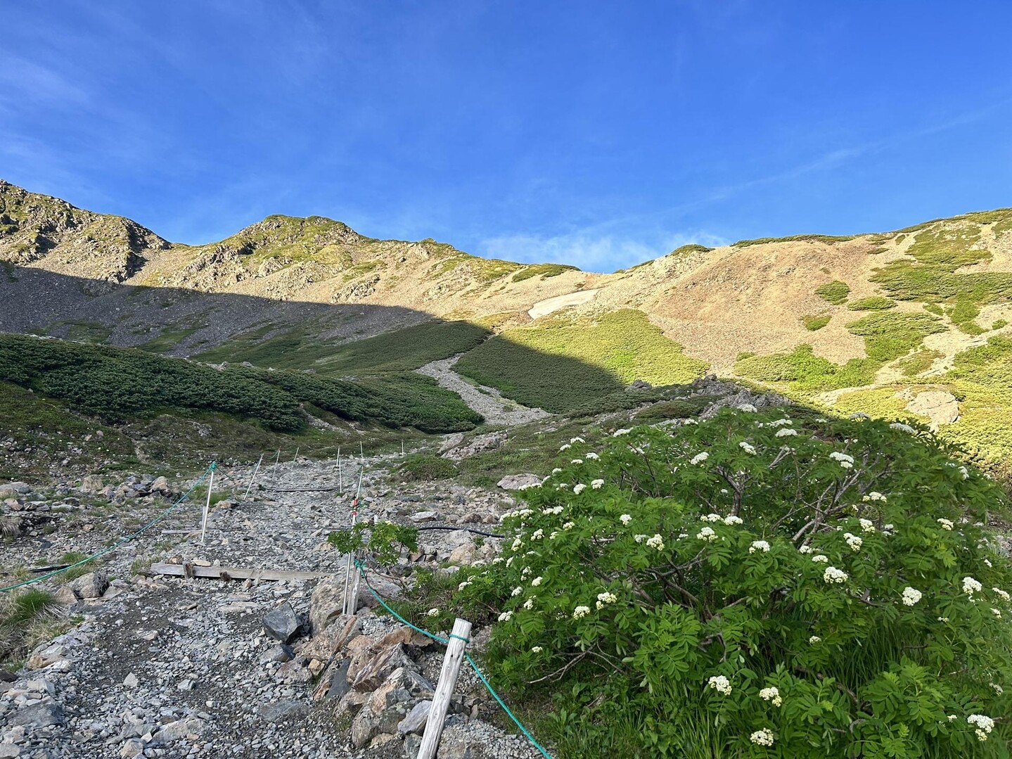 小仙丈ヶ岳・仙丈ヶ岳 / ayuさんの仙丈ヶ岳・伊那荒倉岳の活動日記 | YAMAP / ヤマップ