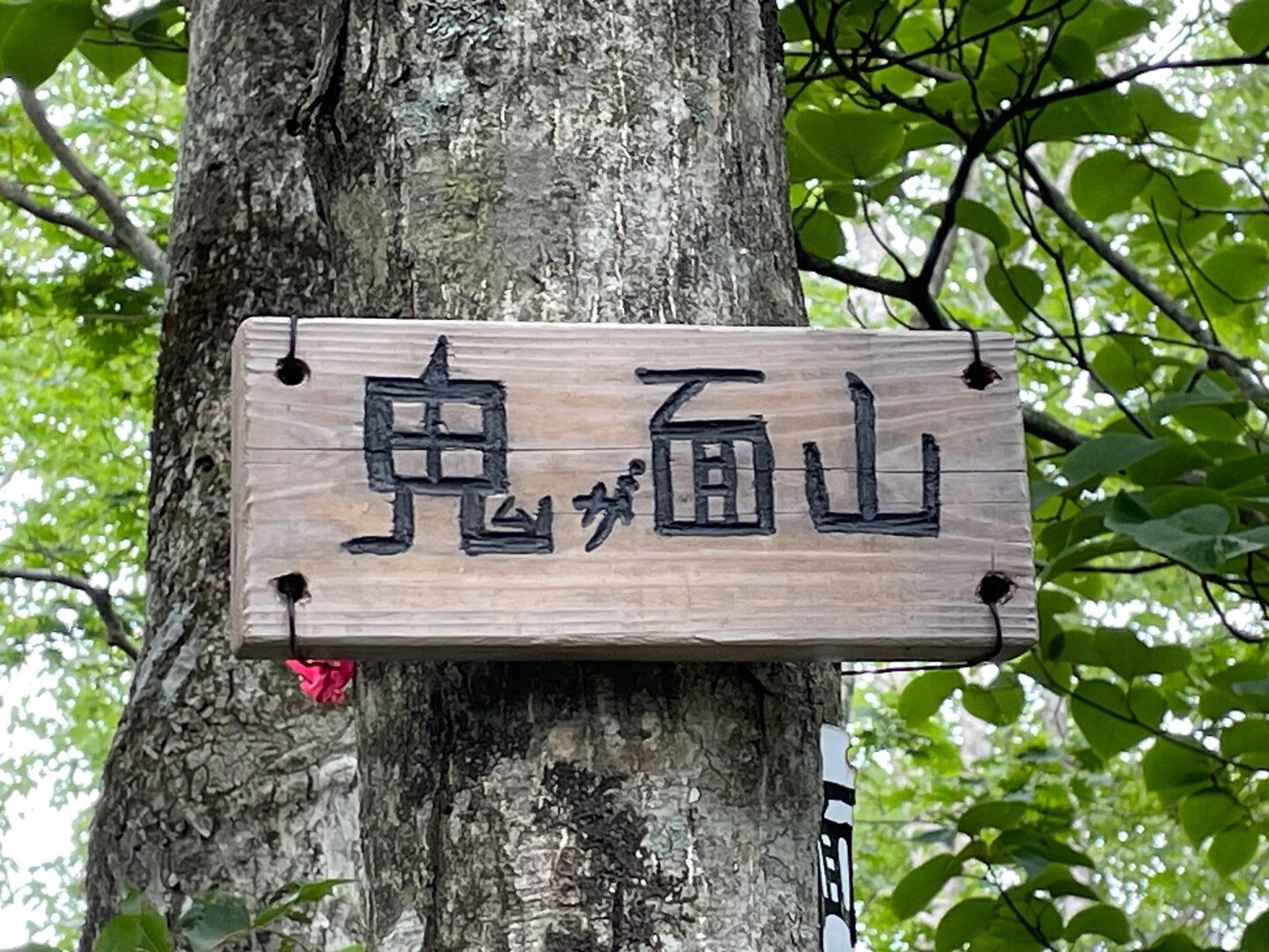 鬼が面山、沼原湿原 / ota660さんの茶臼岳（那須岳）・三本槍岳・赤面山の活動データ | YAMAP / ヤマップ