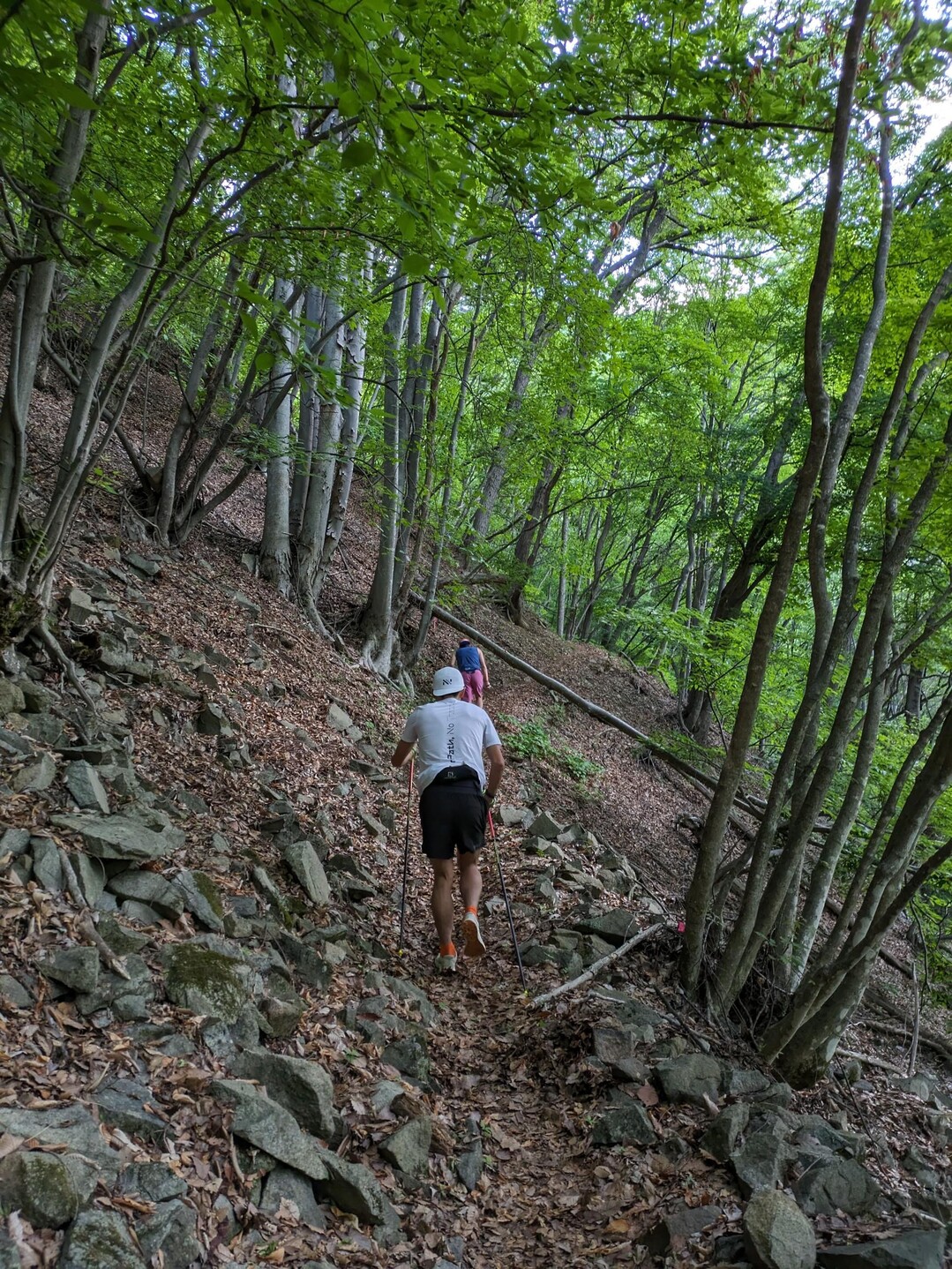 戸谷峰 / TKGさんの三才山・戸谷峰の活動データ | YAMAP / ヤマップ