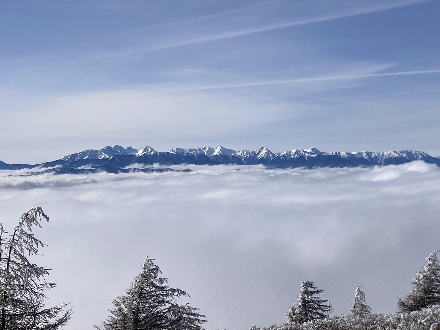 mauveバッチを目当てに鉢伏登山 ️ / Erikaさんの鉢伏山・高ボッチ山・三峰山の活動データ | YAMAP / ヤマップ