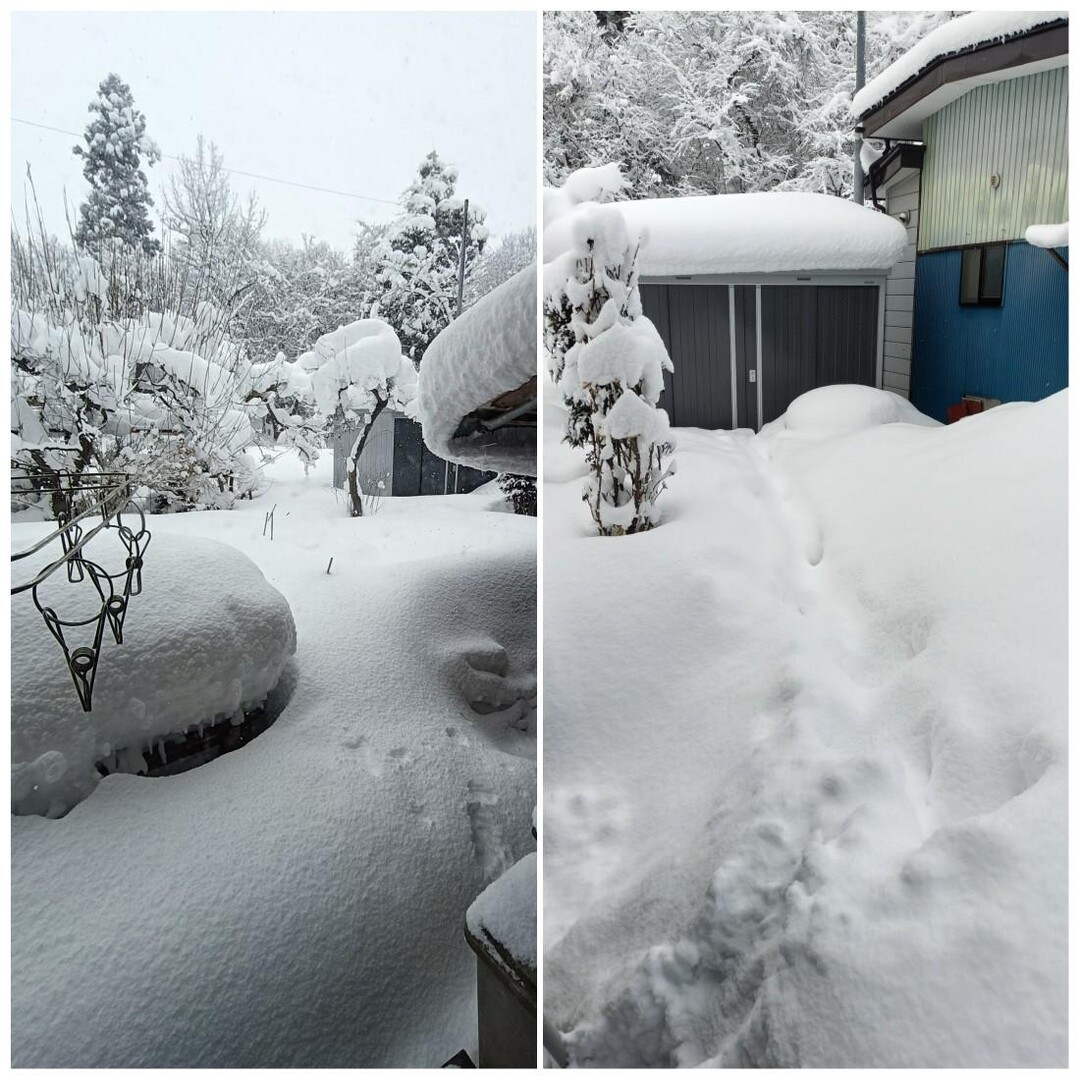 楽しみにしていた八甲田山スノーシューツア... / のぼりさんのモーメント | YAMAP / ヤマップ