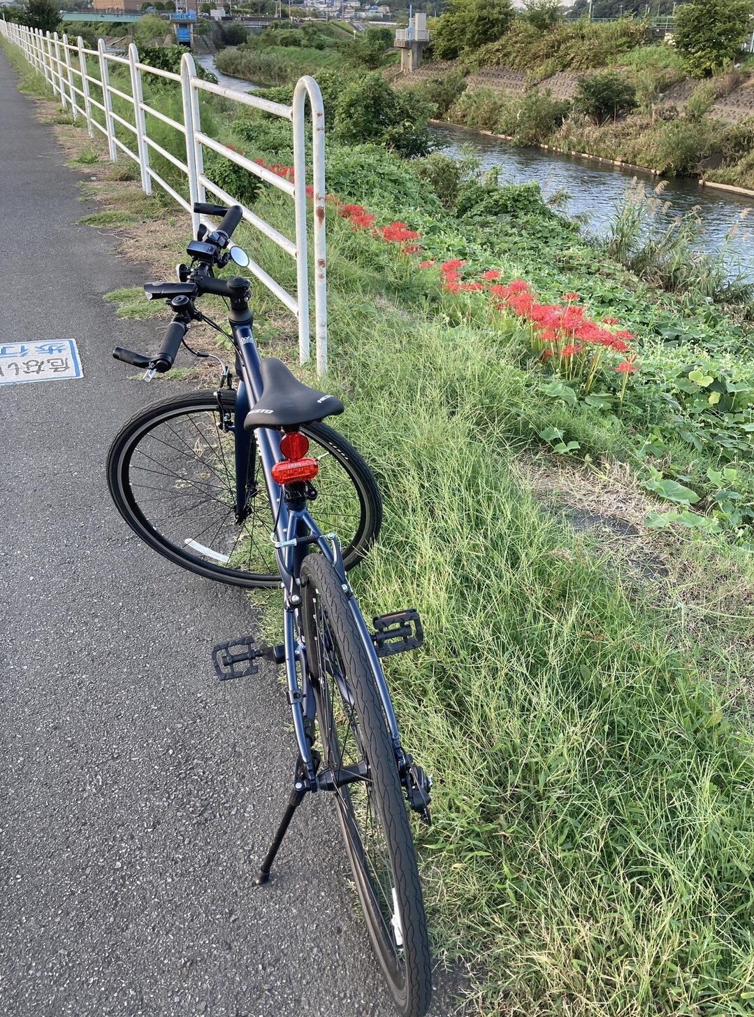 自転車にバーエンドバーを取り付けたので ... / nkさんのモーメント | YAMAP / ヤマップ