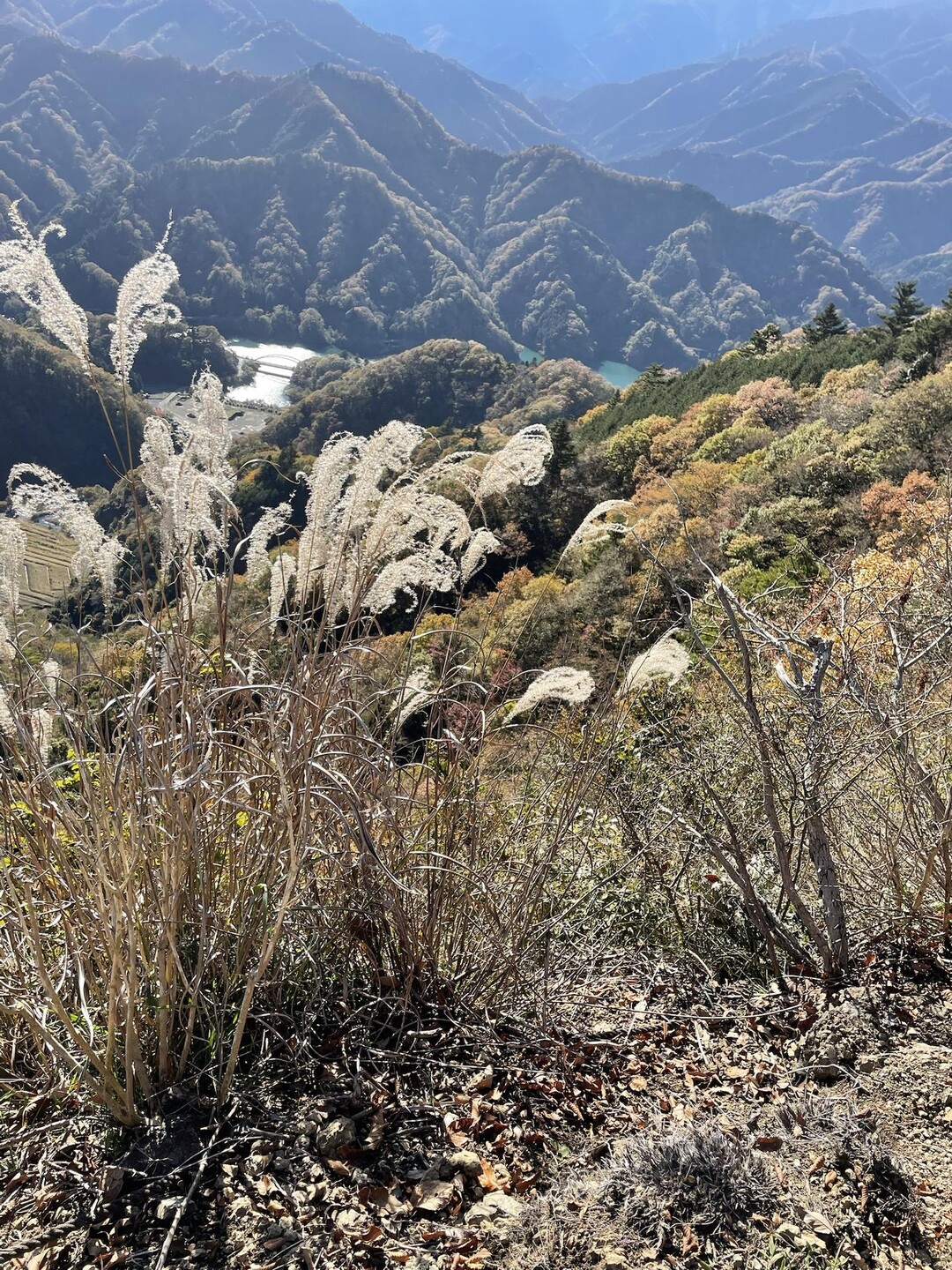 相州アルプス南尾根（御門橋BS）山岳会CL / かりめろさんの大山の活動データ | YAMAP / ヤマップ