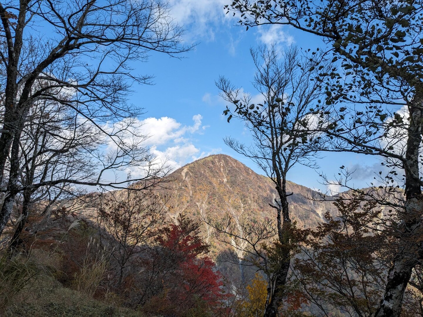 丹沢主稜縦走 檜洞丸・金山谷ノ頭・ミカゲ沢ノ頭・蛭ヶ岳・鬼ヶ岩ノ頭・棚沢ノ頭・不動ノ峰・丹沢山・竜ヶ馬場・日... / Ghさんの塔ノ岳・丹沢山・蛭ヶ岳の活動データ | YAMAP / ヤマップ