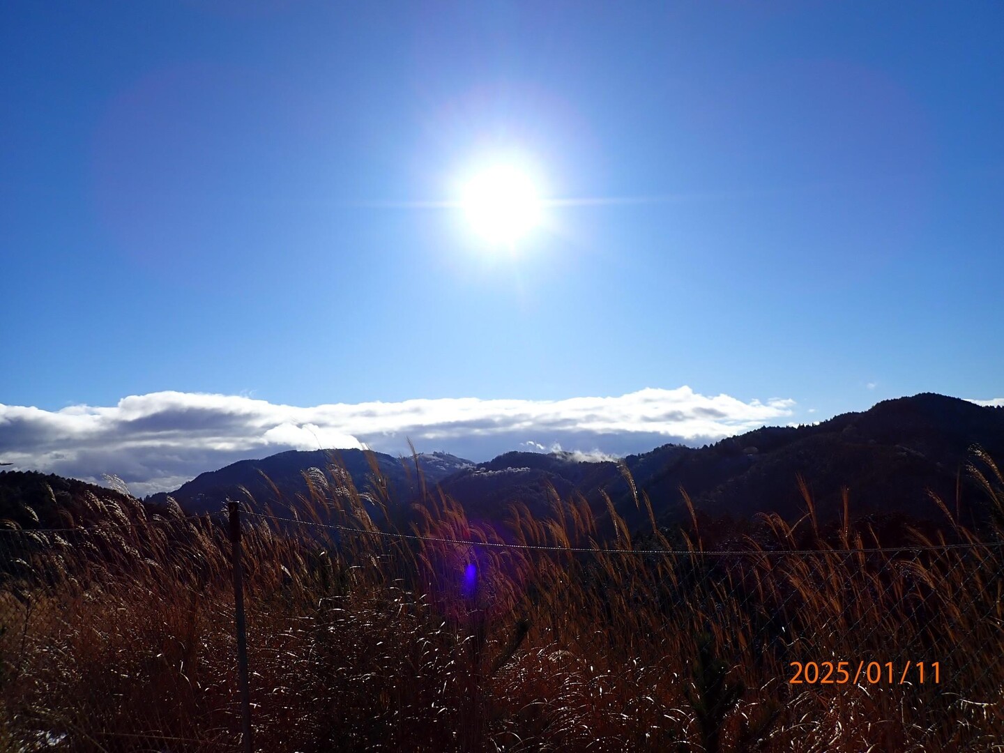 八王子山・神宮寺山・三石岳・阿弥陀峰・霊山峰・香芳峰 / TYさんの比叡山・横高山・梶山の活動データ | YAMAP / ヤマップ