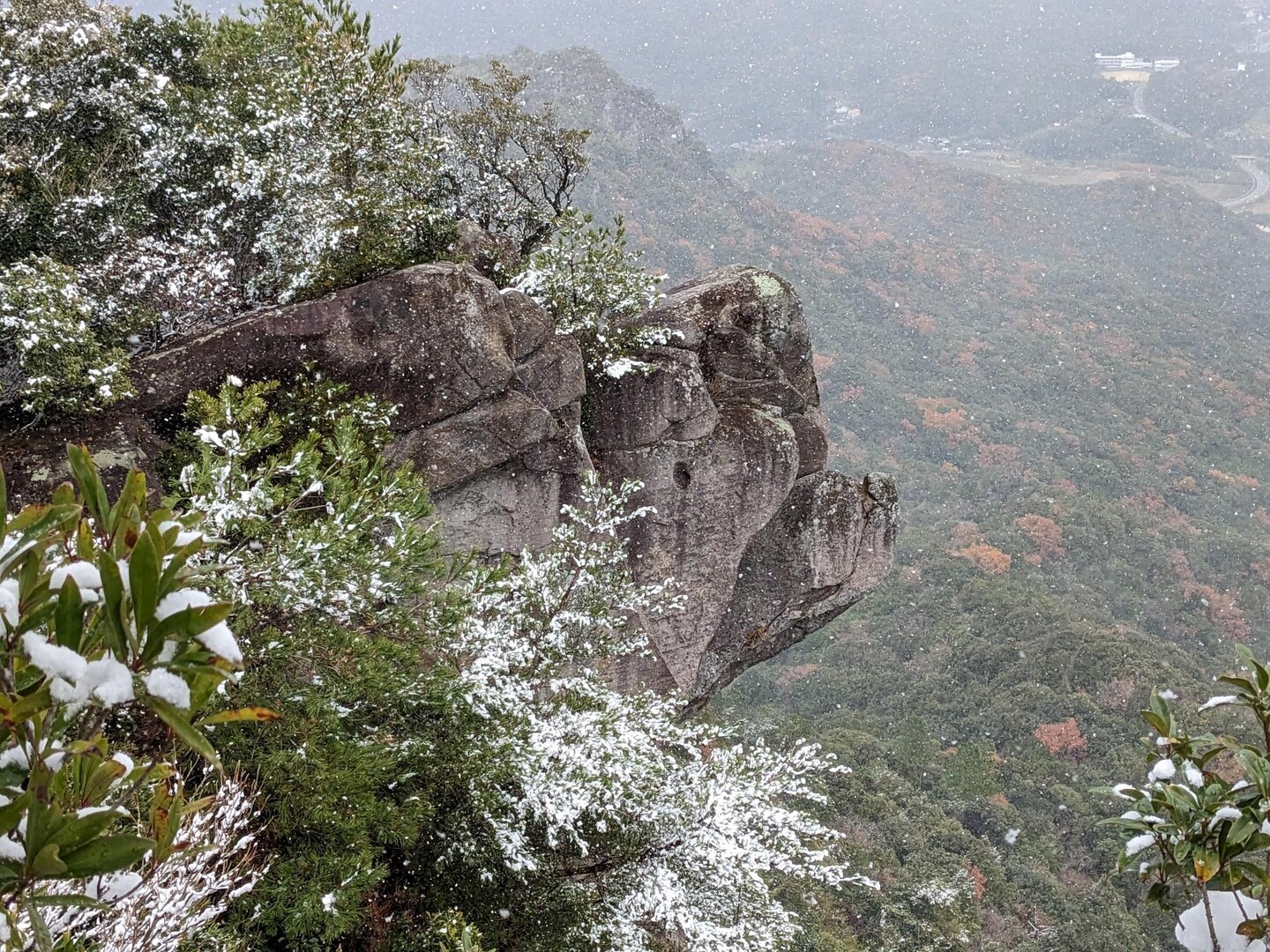 太郎丸嶽・次郎丸嶽 / のっちFTさんの上島（天草諸島）・太郎丸嶽・次郎丸嶽の活動データ | YAMAP / ヤマップ