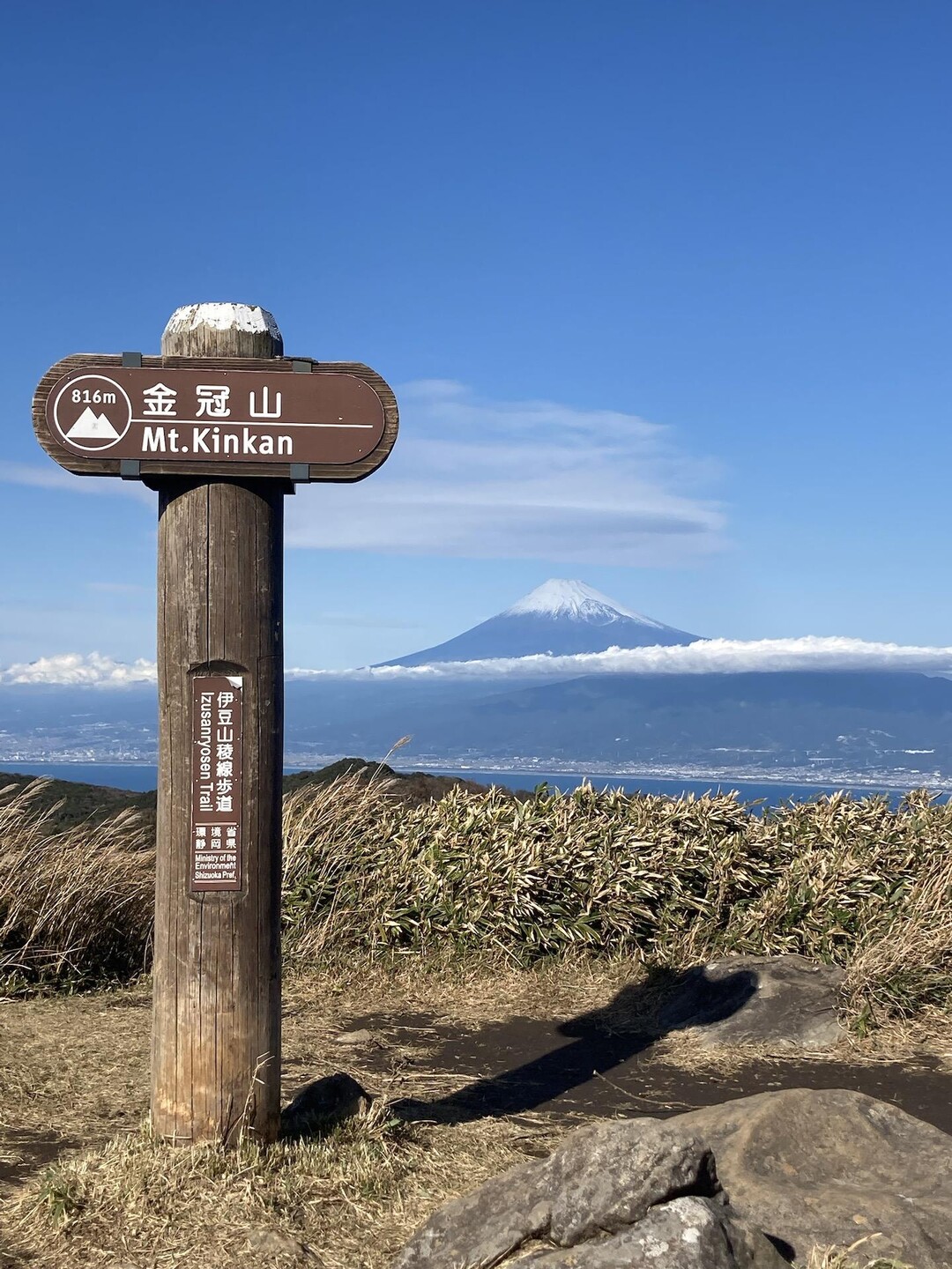達磨山・金冠山 / masakoさんの金冠山・達磨山・葛城山の活動データ | YAMAP / ヤマップ