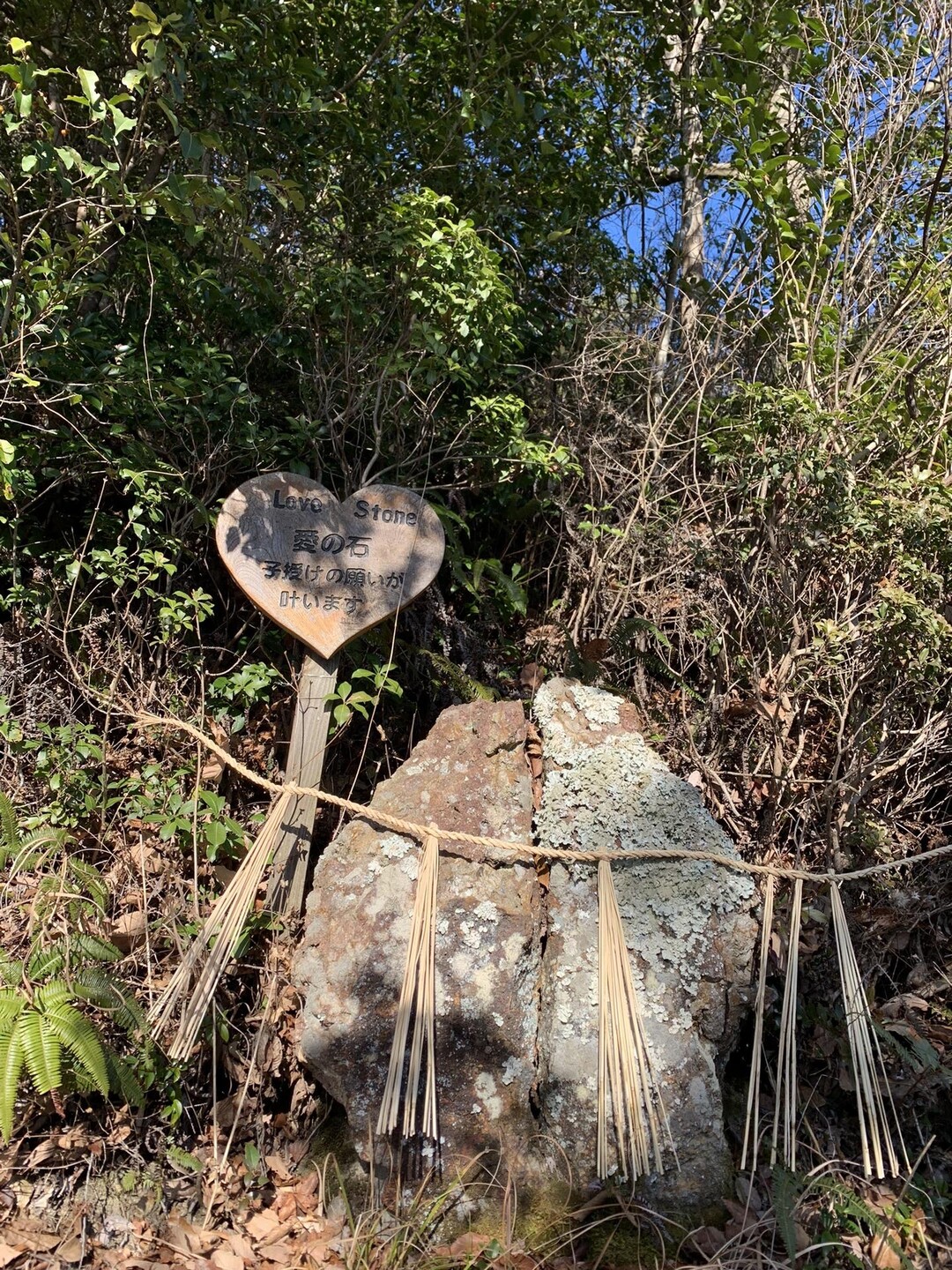 矢筈山 / pon-pokoさんの角尾山・五峰山・矢筈山の活動データ | YAMAP / ヤマップ